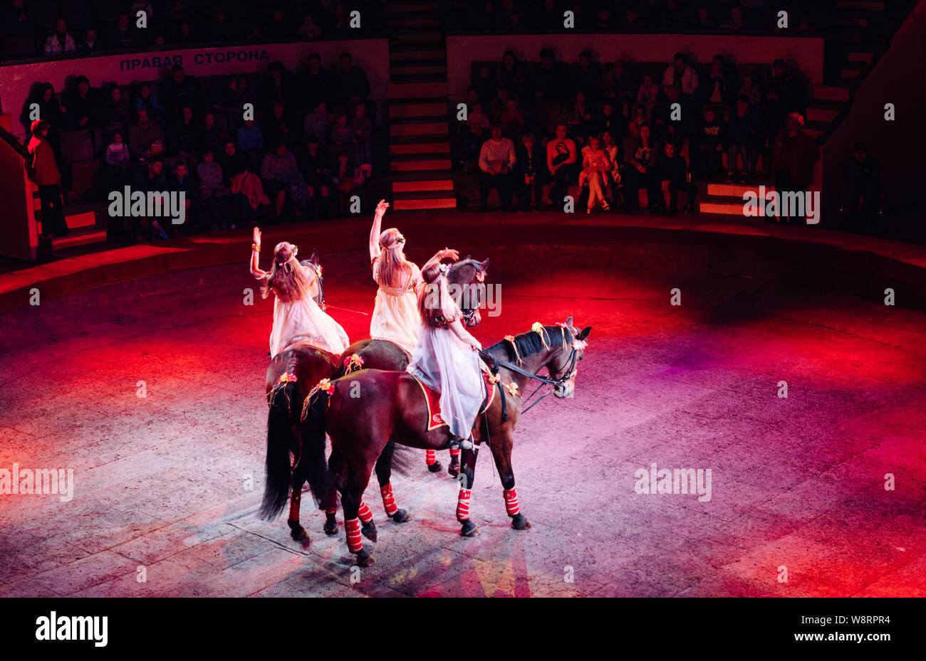 Horses in the circus. Speech horses with trainers on the stage of the ...