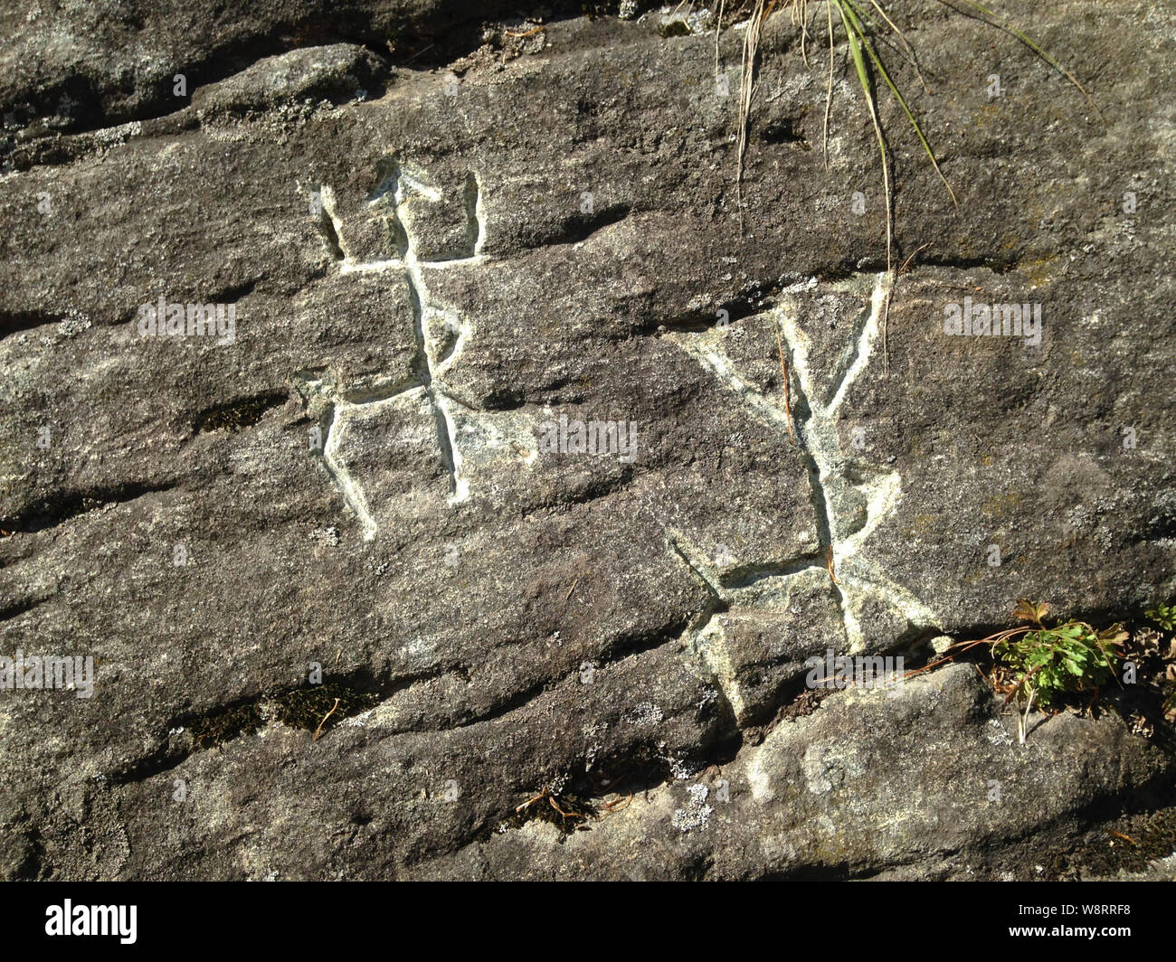 Rock paintings of ancient people. Image of deer or moose. Ancient ...