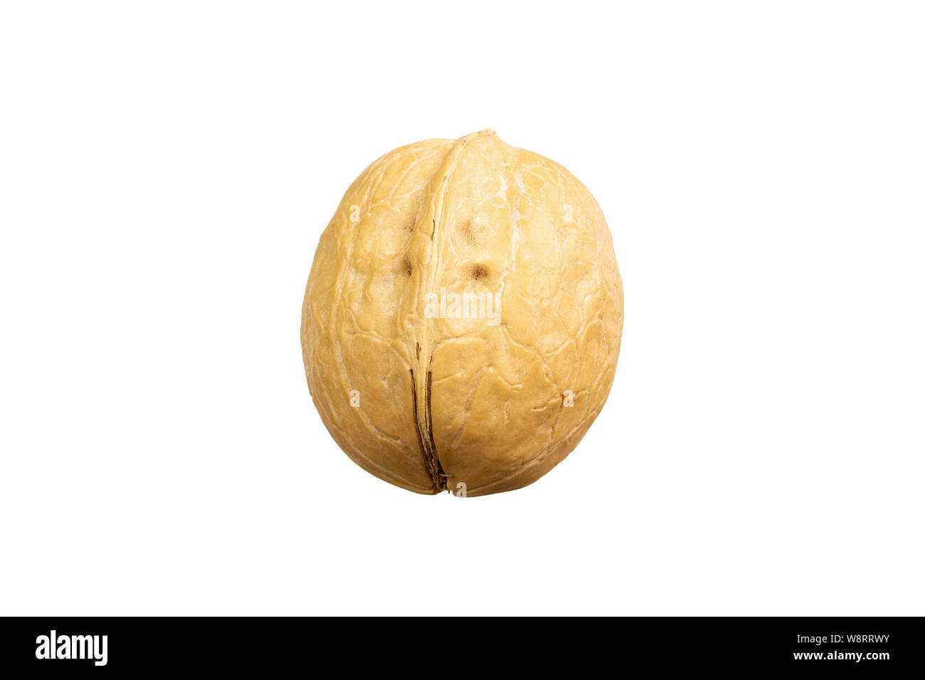 Walnut close-up isolate. The texture of the walnut in the shell. Walnut ...
