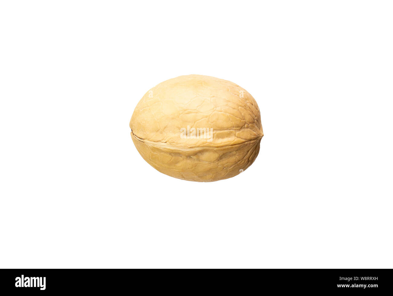 Single walnut isolated on white background. Textured shells of ripe ...