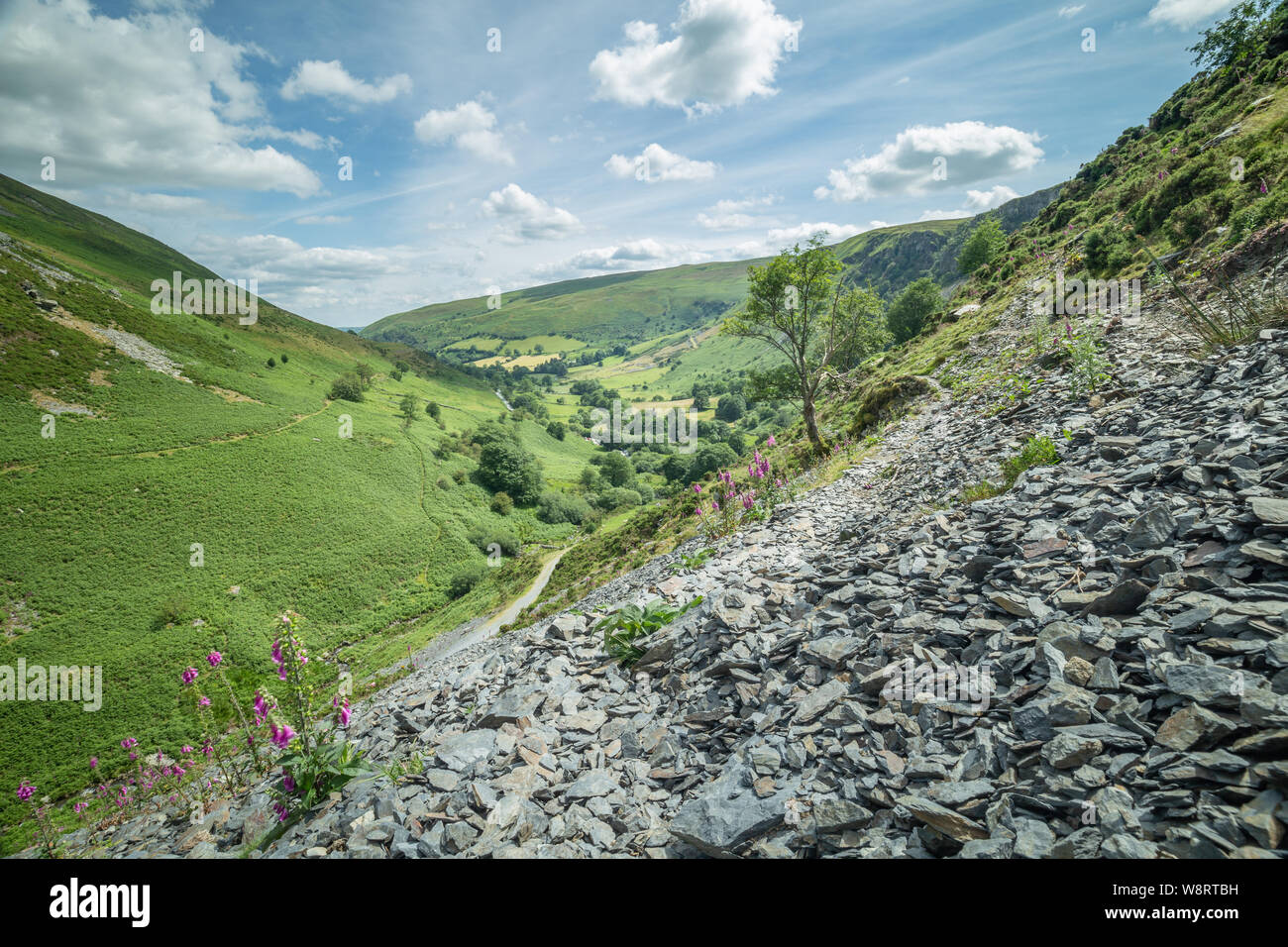 Green valley at summer with slate hill ridge in Pistyll Rhaeadr, Wales ...