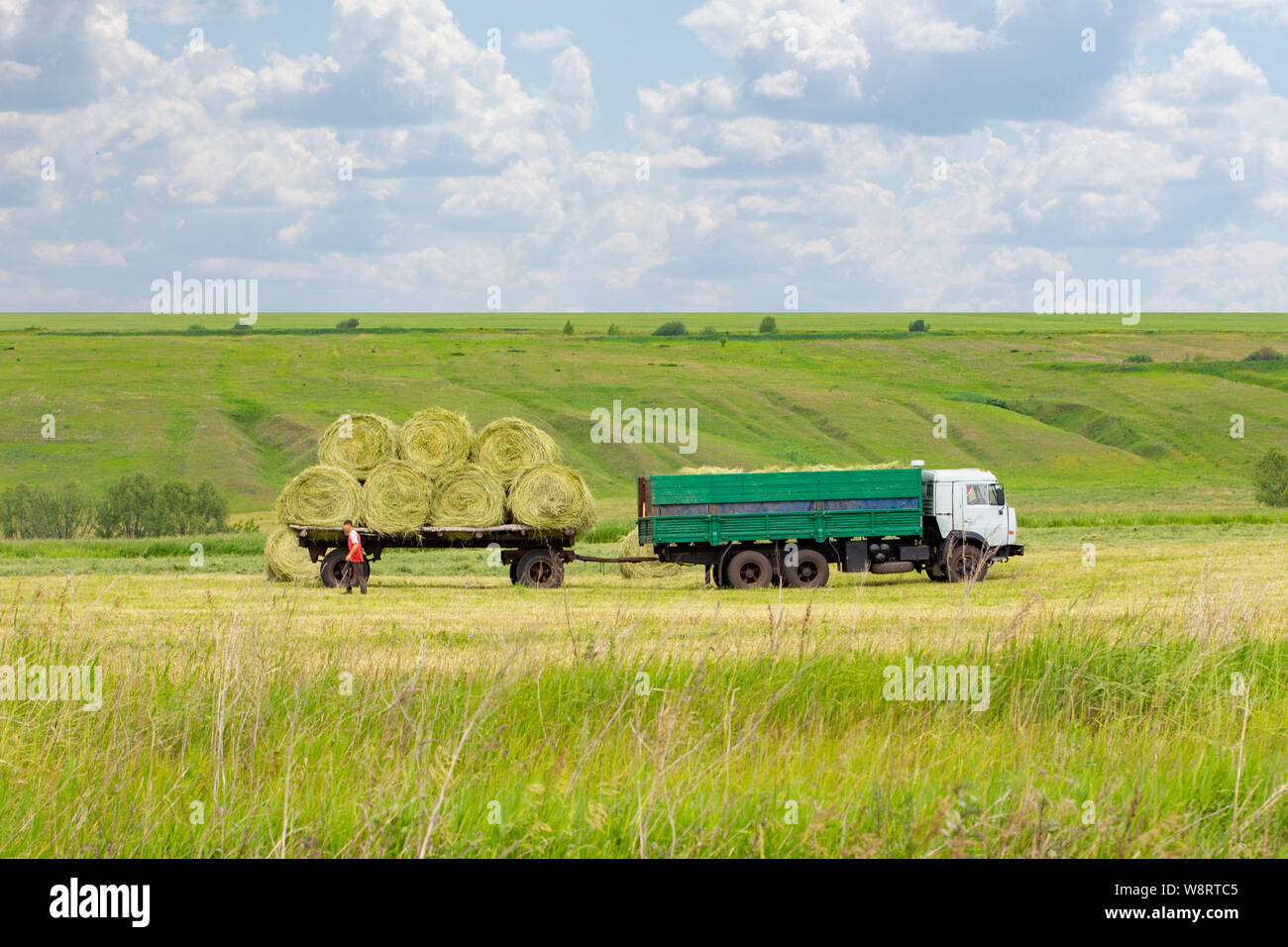 Loading hay rolls into an agricultural truck trailer. Preparation of ...