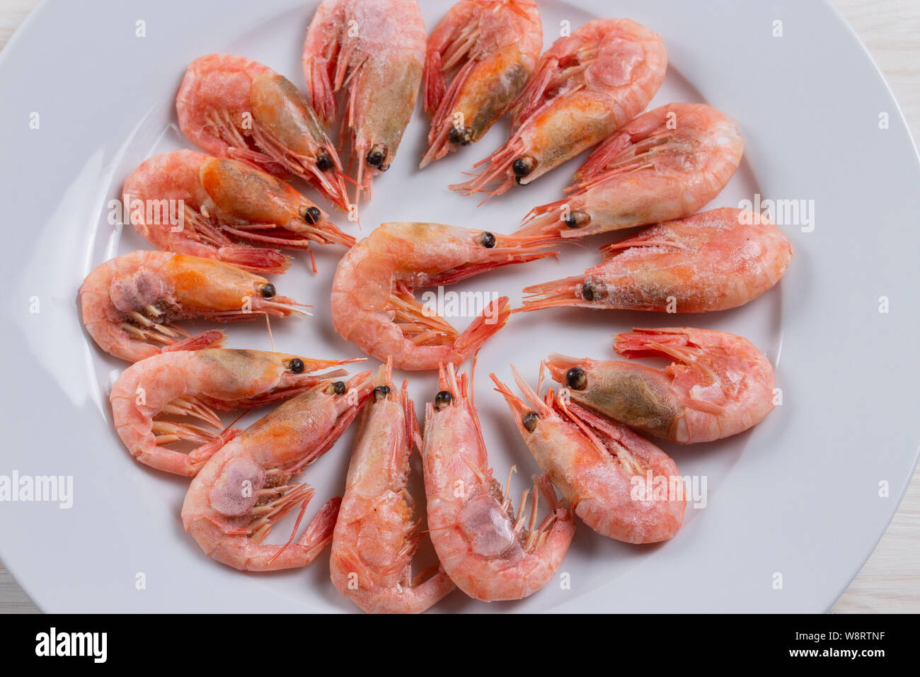 Frozen pink small shrimp on a white plate close-up. Shrimps prawns ...