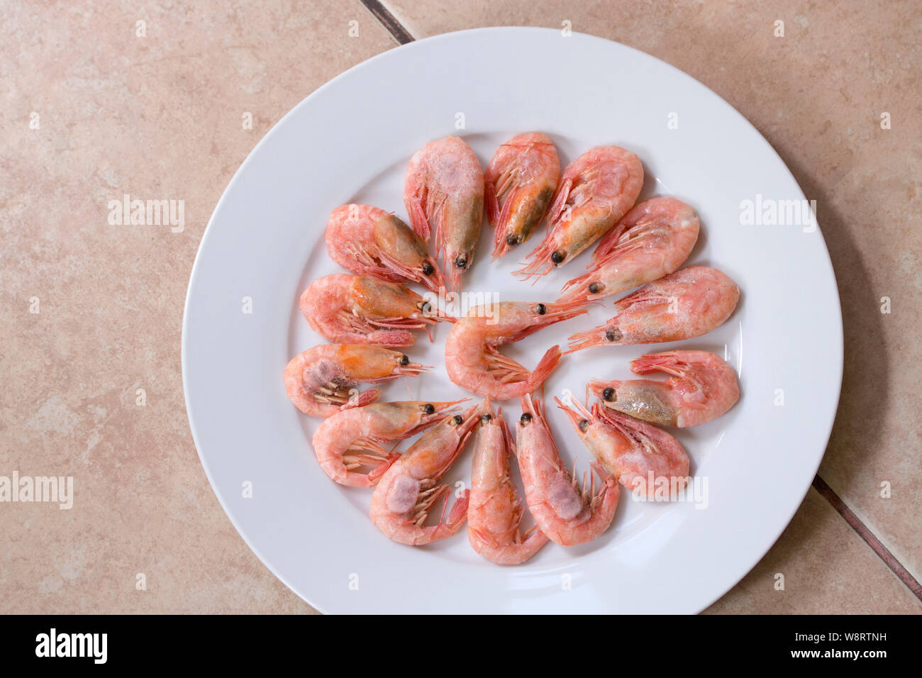 Frozen pink small shrimp prawns lobster on a white plate. Delicious ...