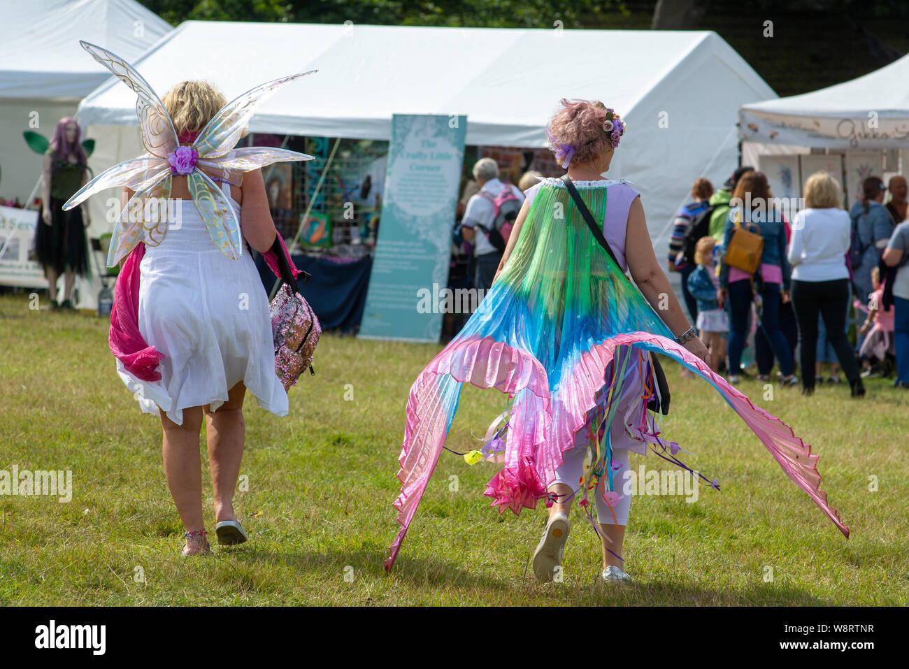 Burley, Ringwood, New Forest, Hampshire, England, UK. August, 2019. The ...
