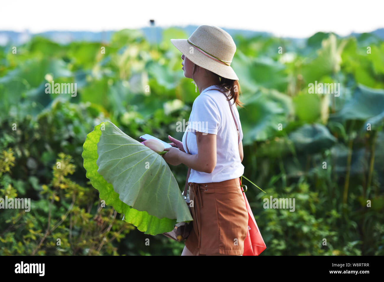 Effective management hi-res stock photography and images - Alamy