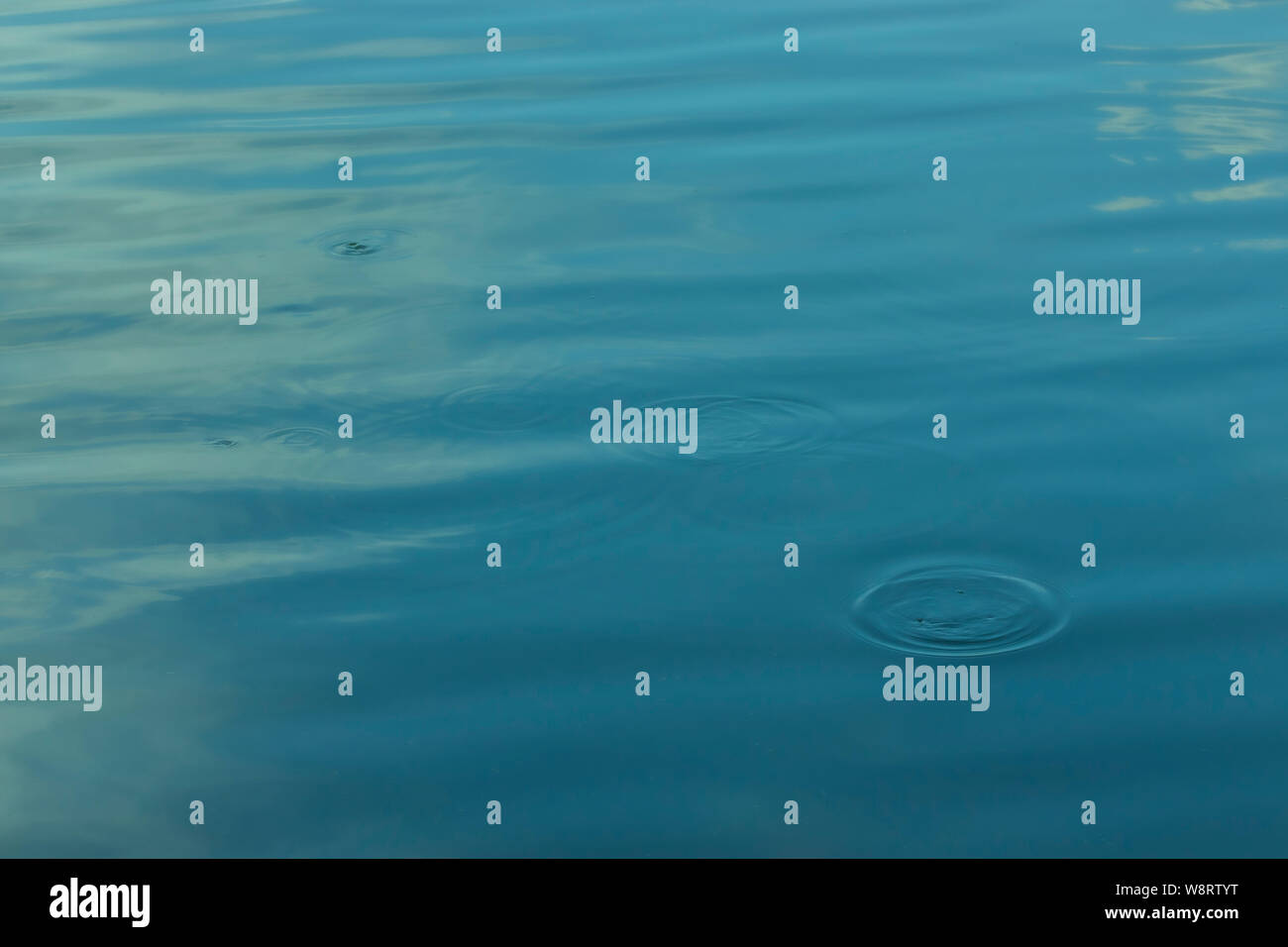 The surface of the lake pond with circles on the water, the texture ...