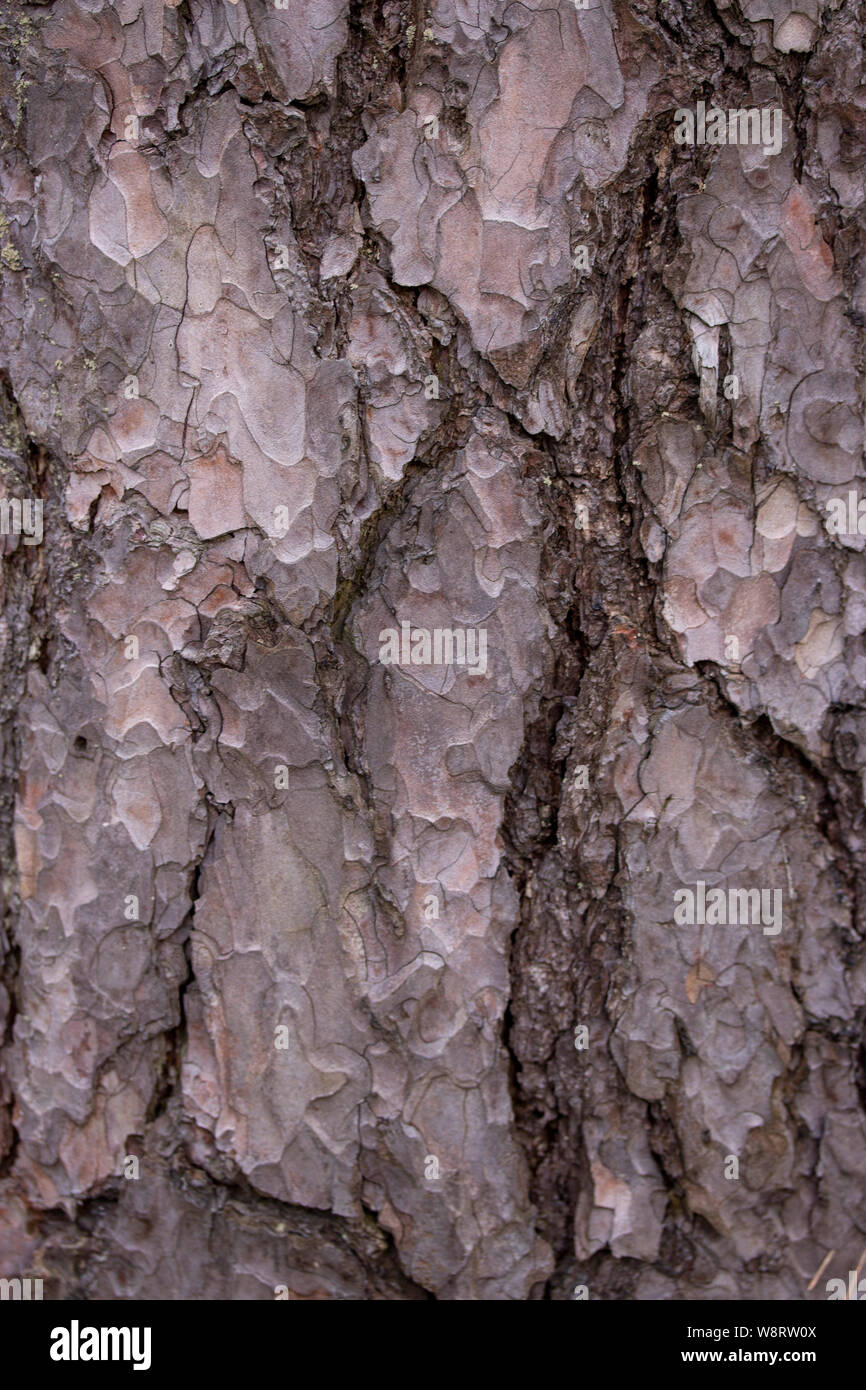 Rough furrows hi-res stock photography and images - Alamy