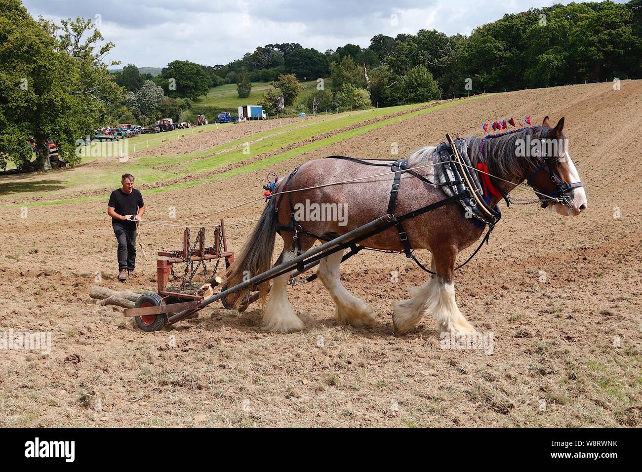 Ploughing event hi-res stock photography and images - Alamy