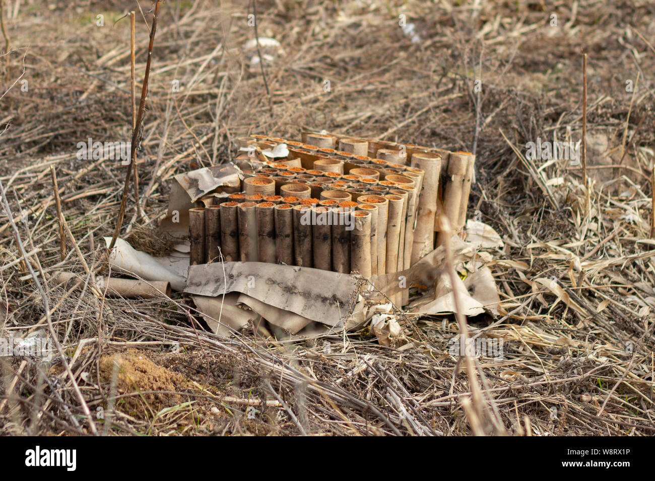 After the holiday, lawn full of empty cardboard firework package and ...