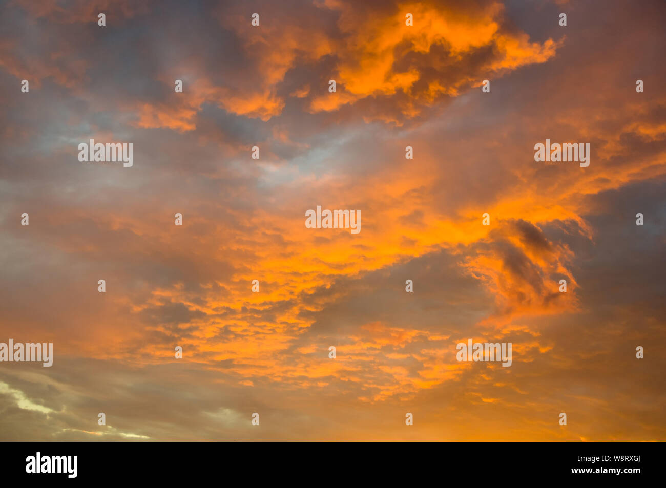Landscape with dramatic light - beautiful golden sunset with saturated ...