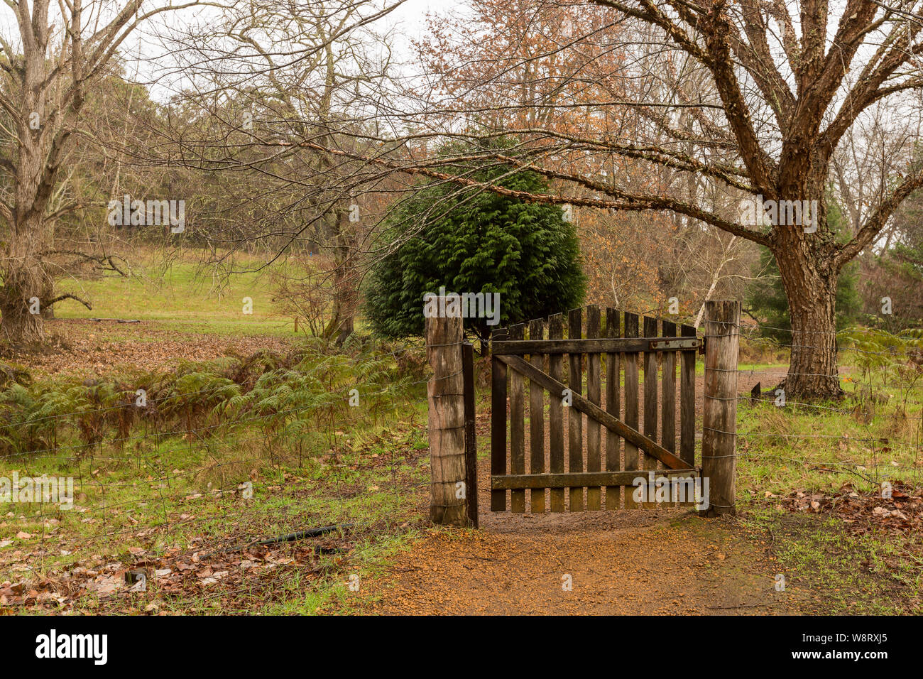 Closed gate and path Golden Valley Tree Park Balingup Stock Photo - Alamy