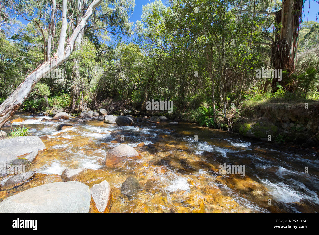 Delatite river hi-res stock photography and images - Alamy