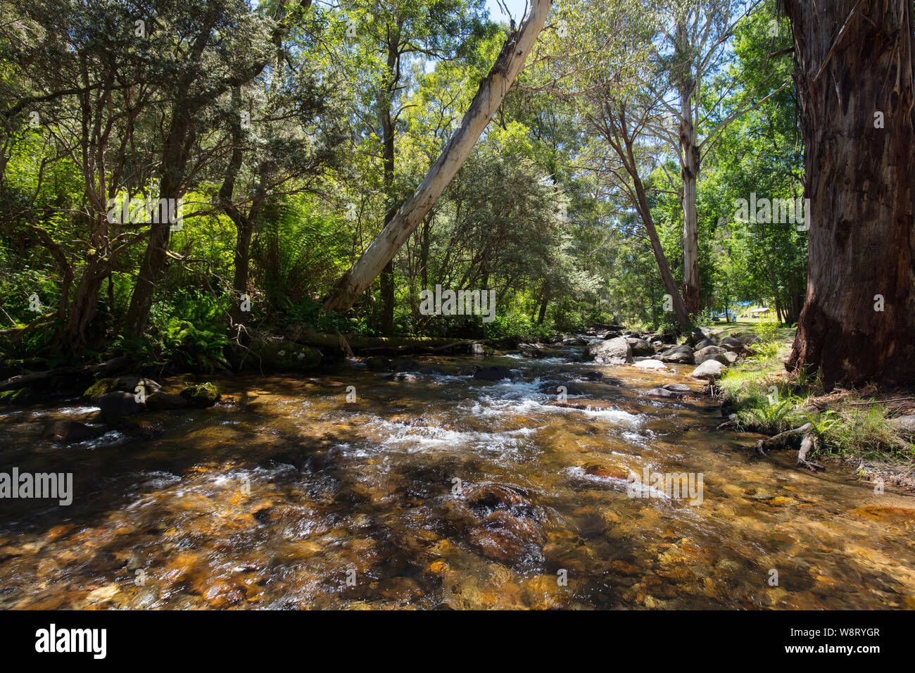 Delatite river hi-res stock photography and images - Alamy