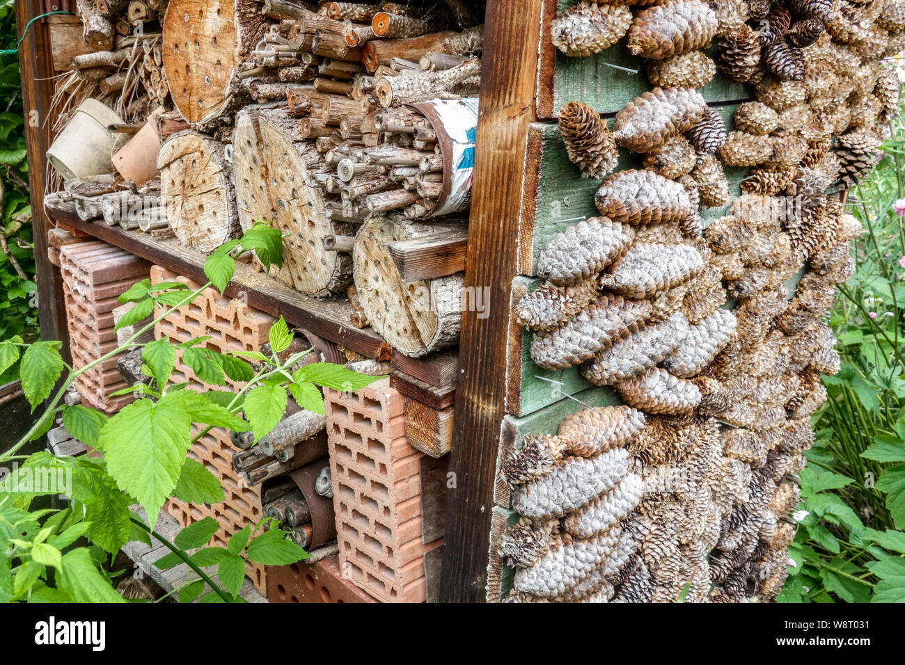 Garden insect hotel for bugs made from old cones, tree trunks, bricks ...