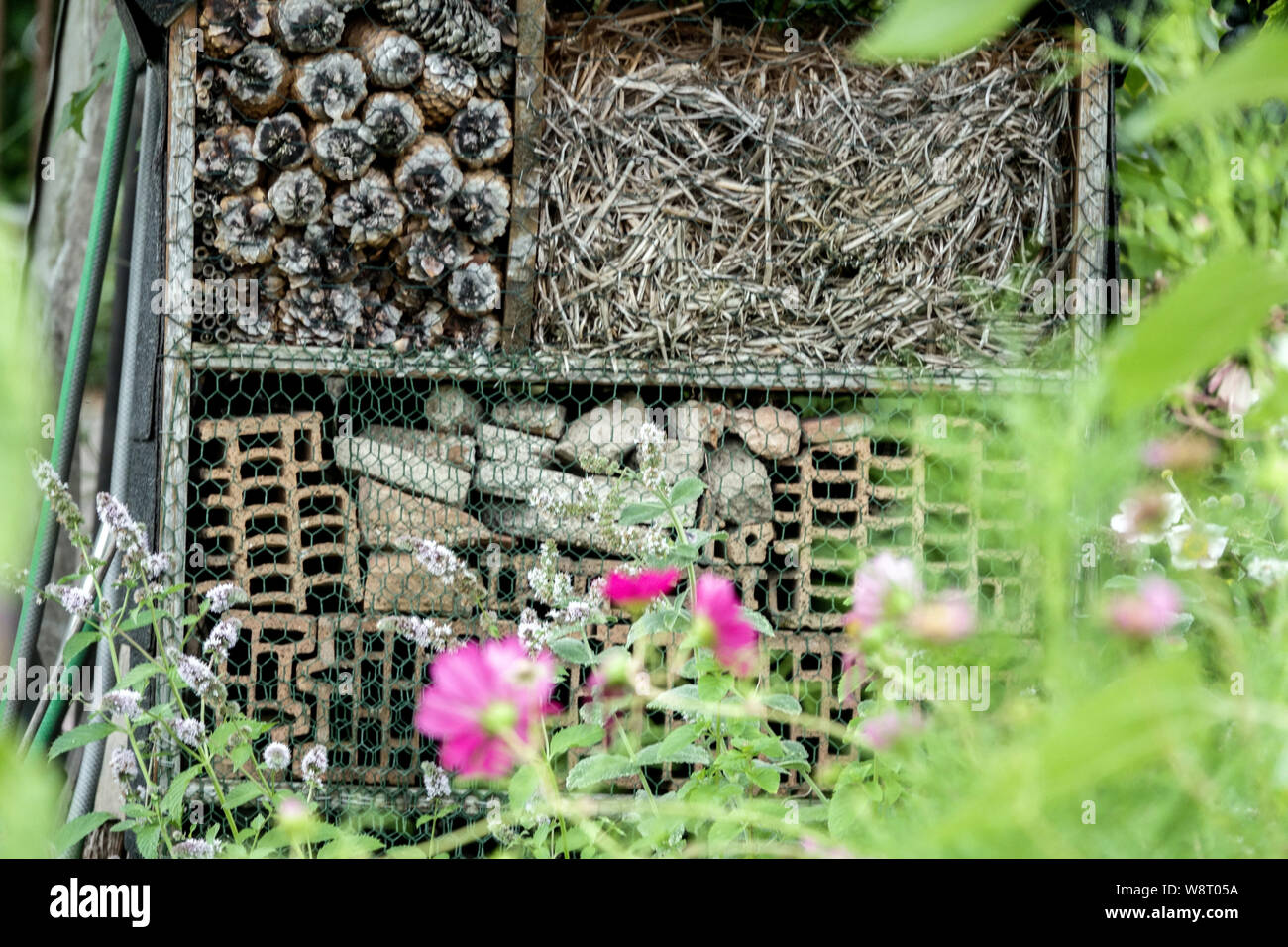 Garden bug hotel, box made from old things - cones, bricks, stones ...