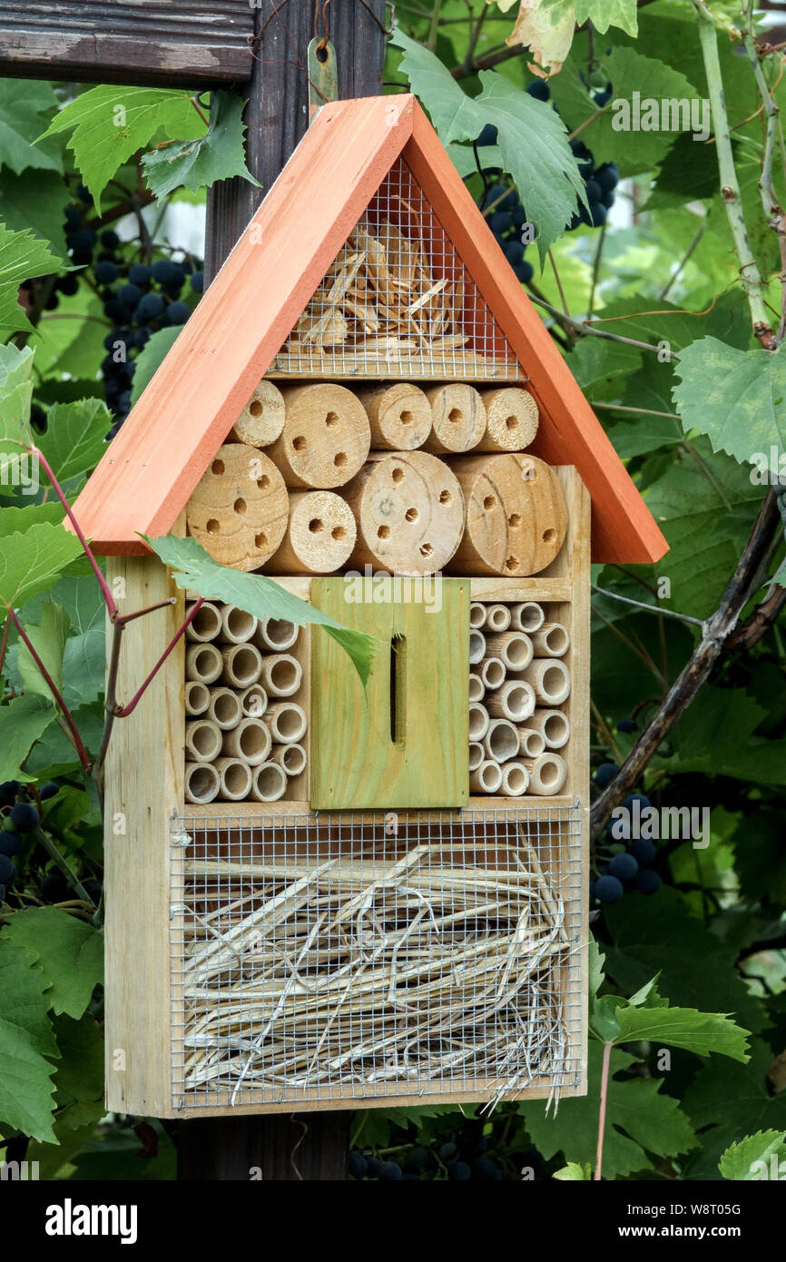 Garden bug hotel hi-res stock photography and images - Alamy