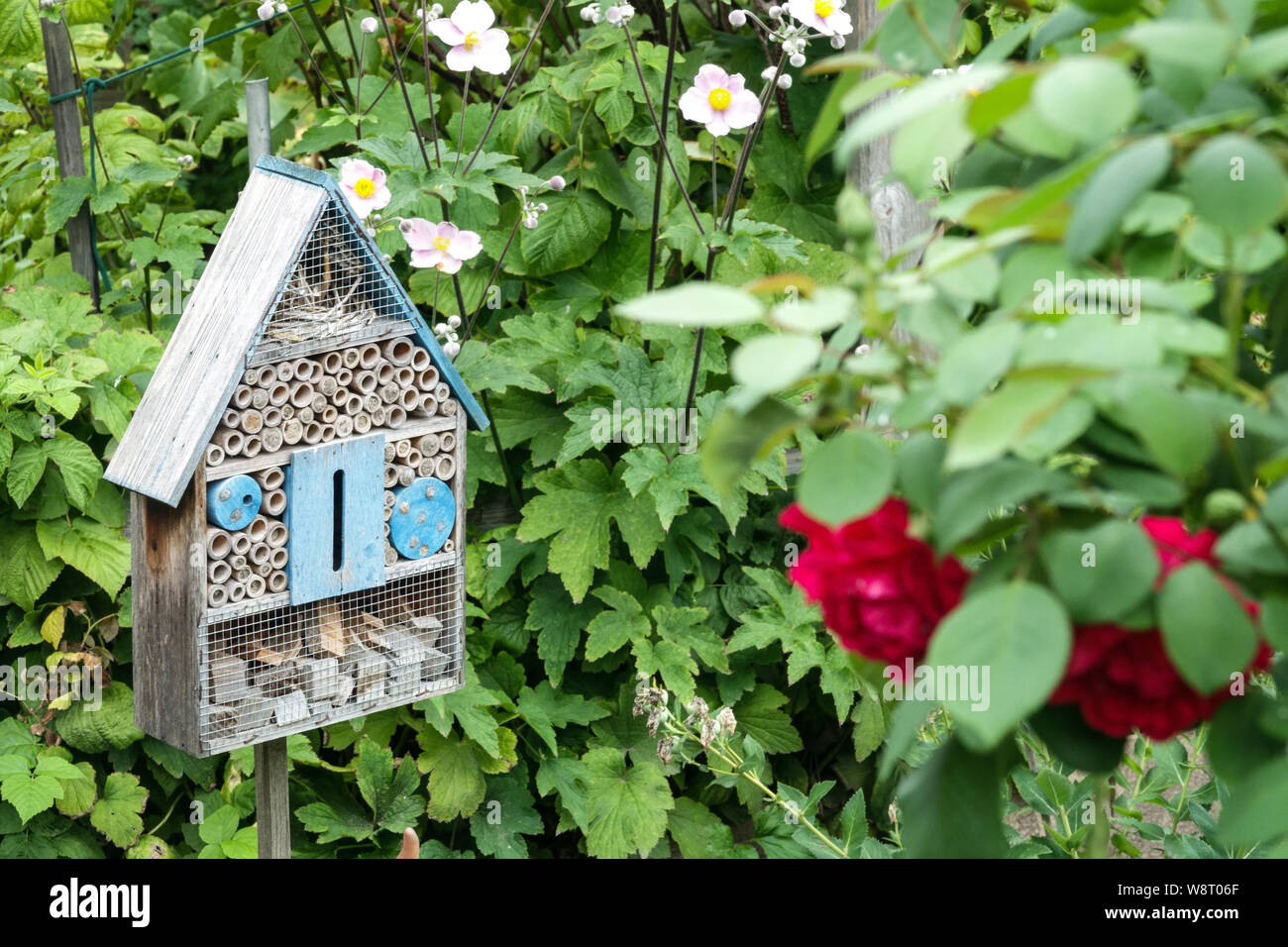 Garden bug hotel hi-res stock photography and images - Alamy
