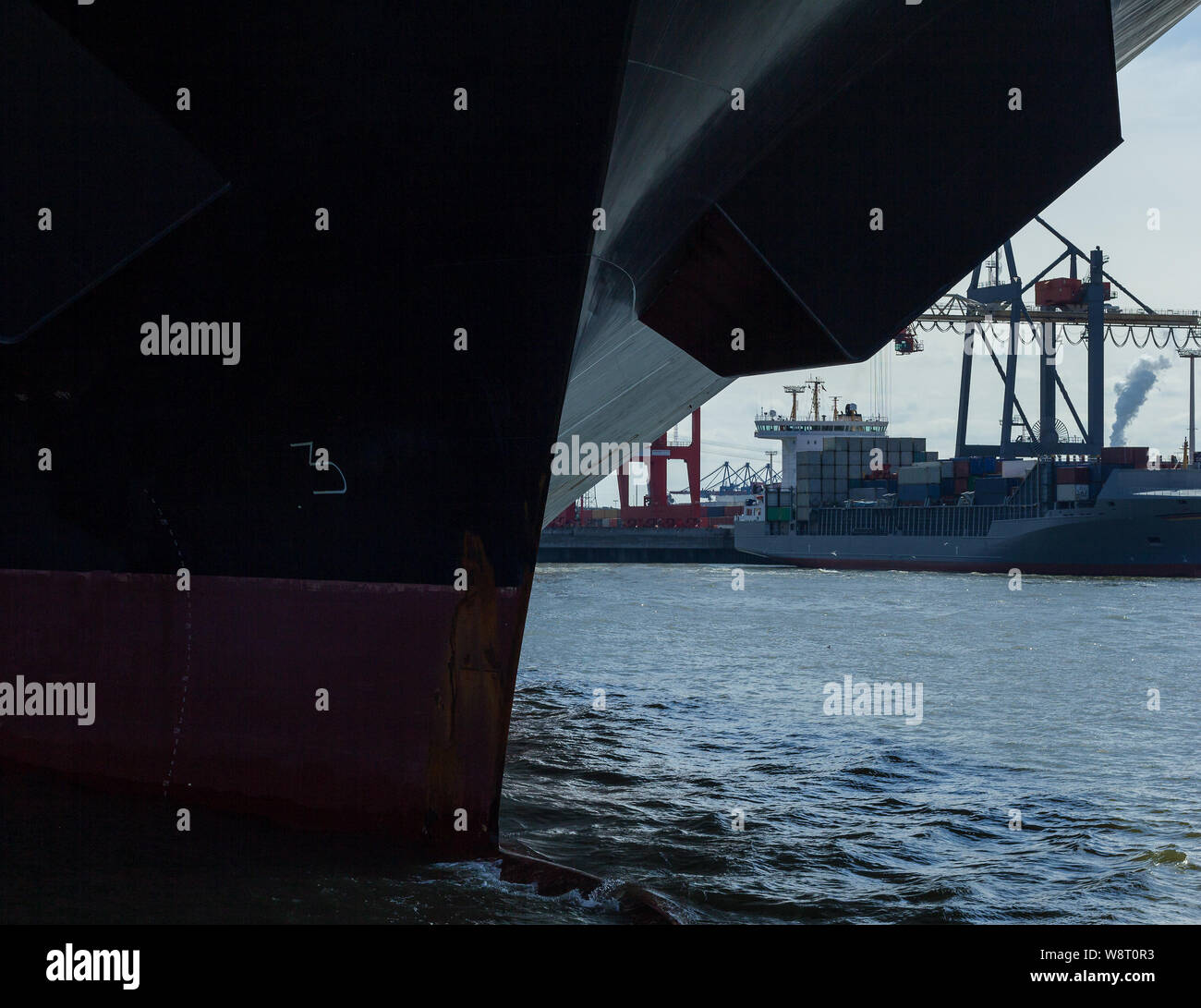 Container ship at the container terminal Ship hull Export Free trade ...