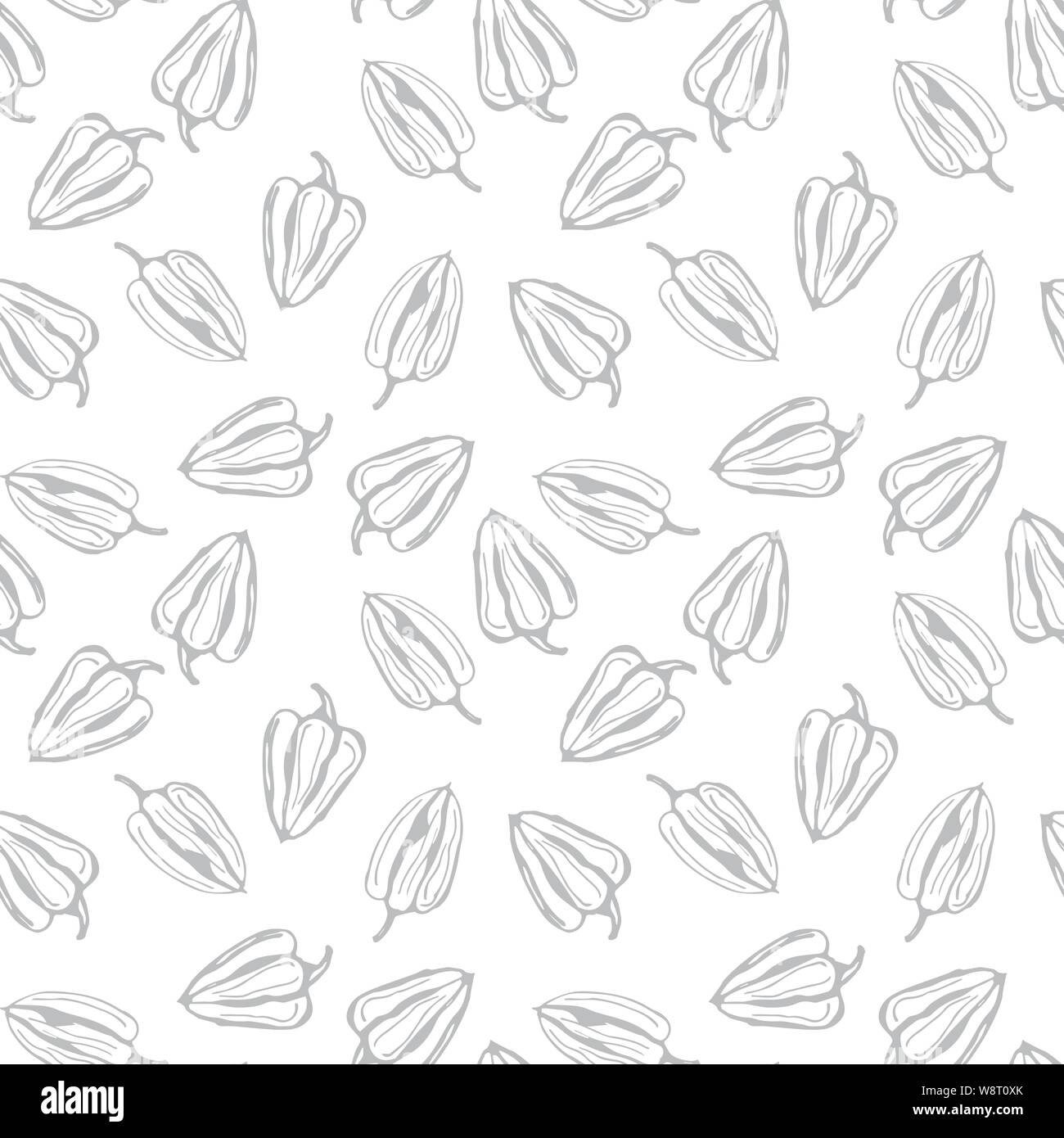 Bell pepper vector seamless pattern. Grey contour pepper on white ...