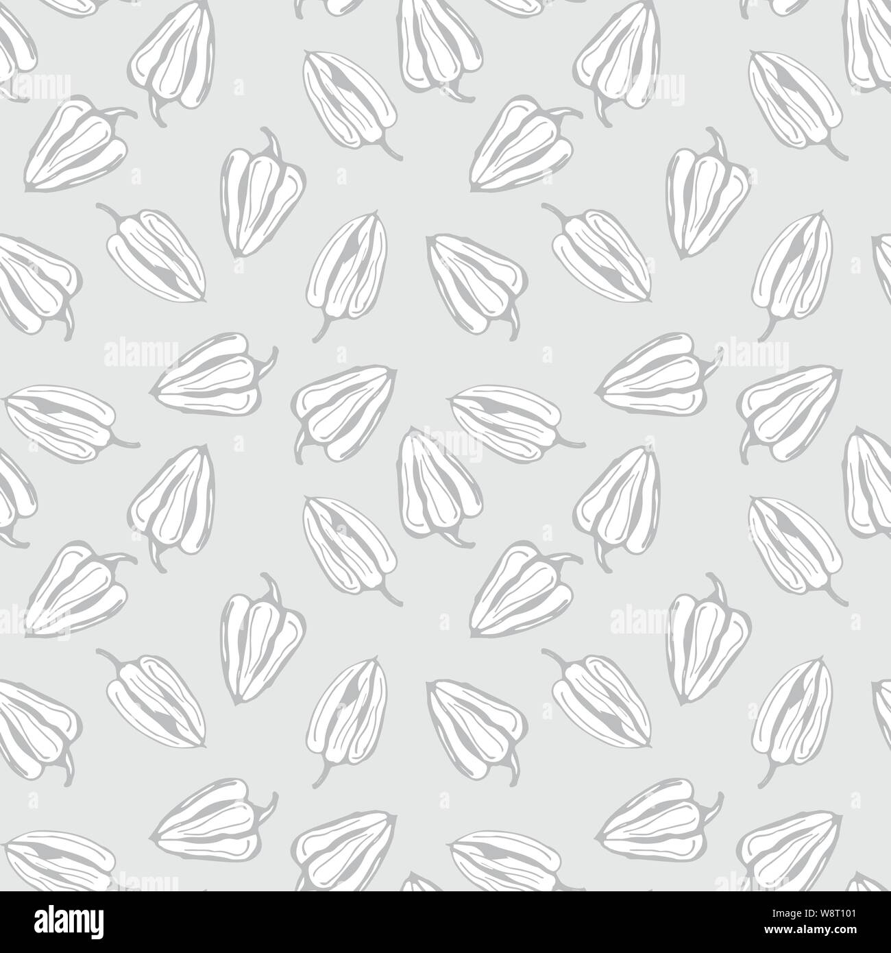 Bell pepper vector seamless pattern. White pepper with grey contour on ...