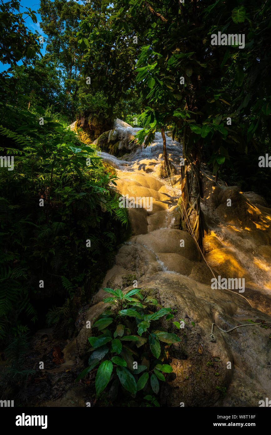 Bua Tong Sticky waterfall Chiang Mai Thailand Stock Photo - Alamy