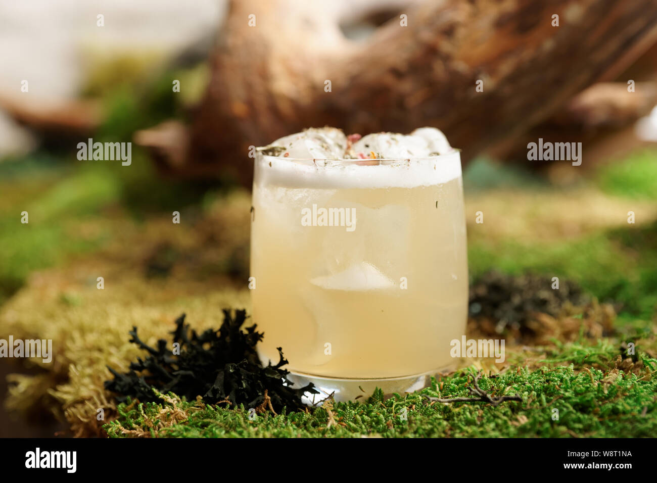 Glass of cocktail on moss, natural forest style drink Stock Photo - Alamy