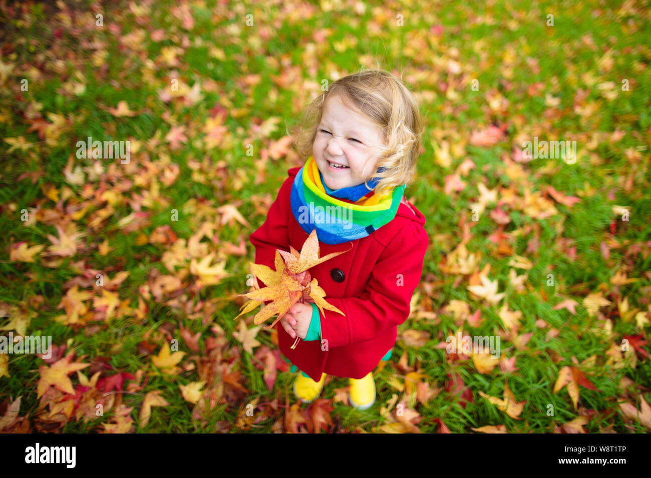 Little girl with yellow leaf. Child playing with autumn golden leaves ...