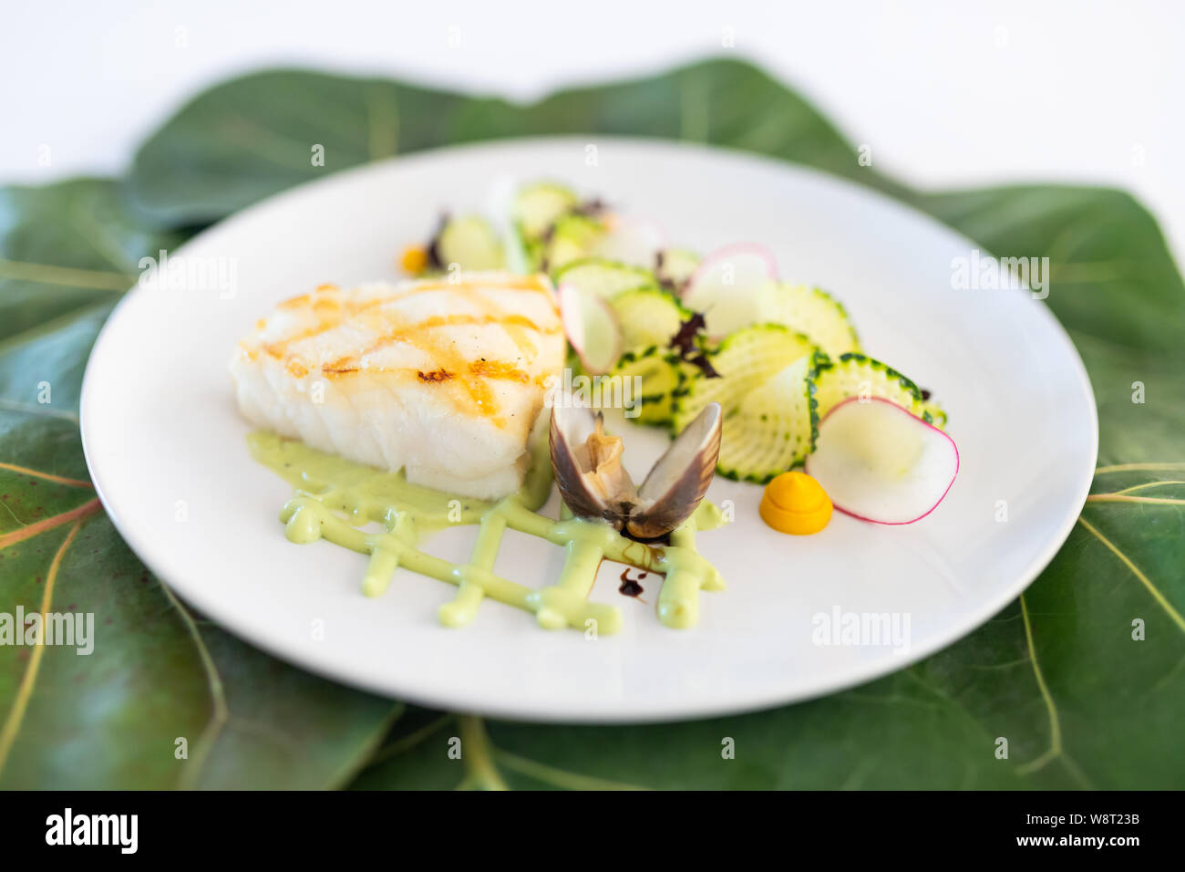 Which he presented hi-res stock photography and images - Alamy