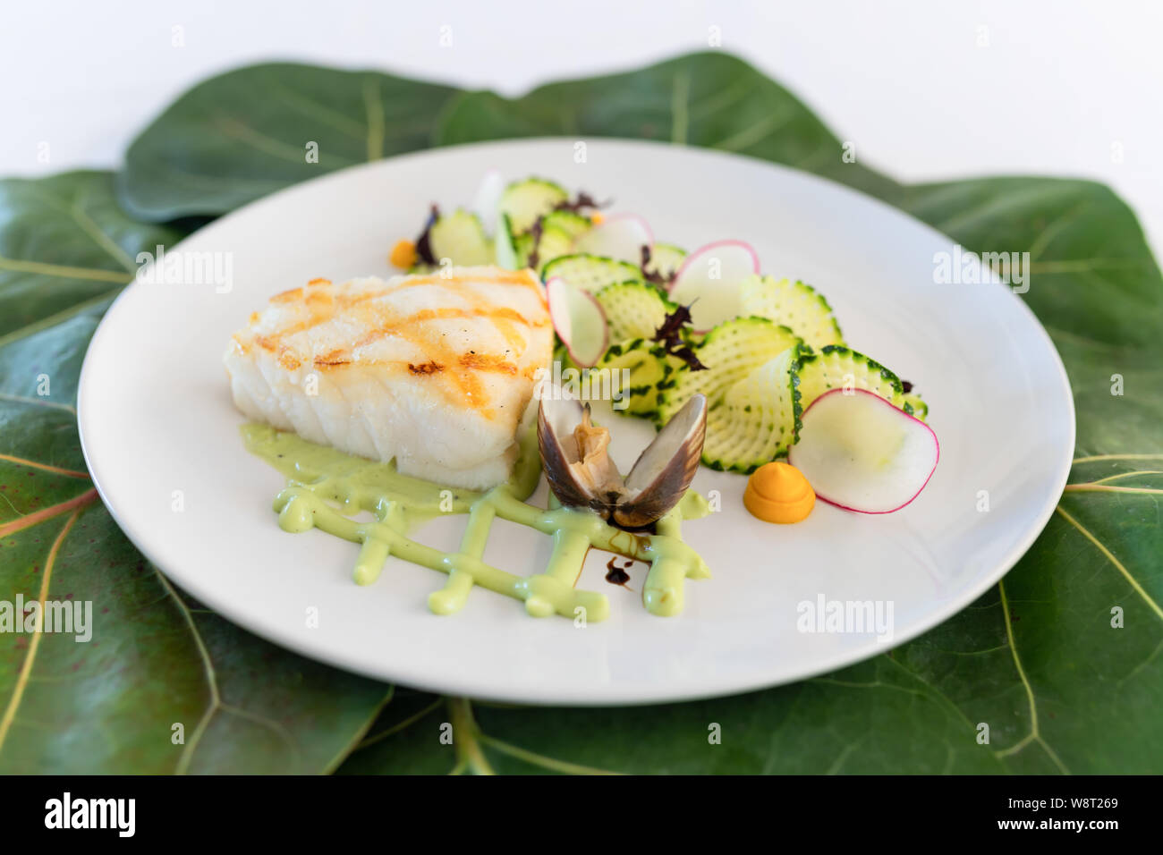 Well presented hi-res stock photography and images - Alamy