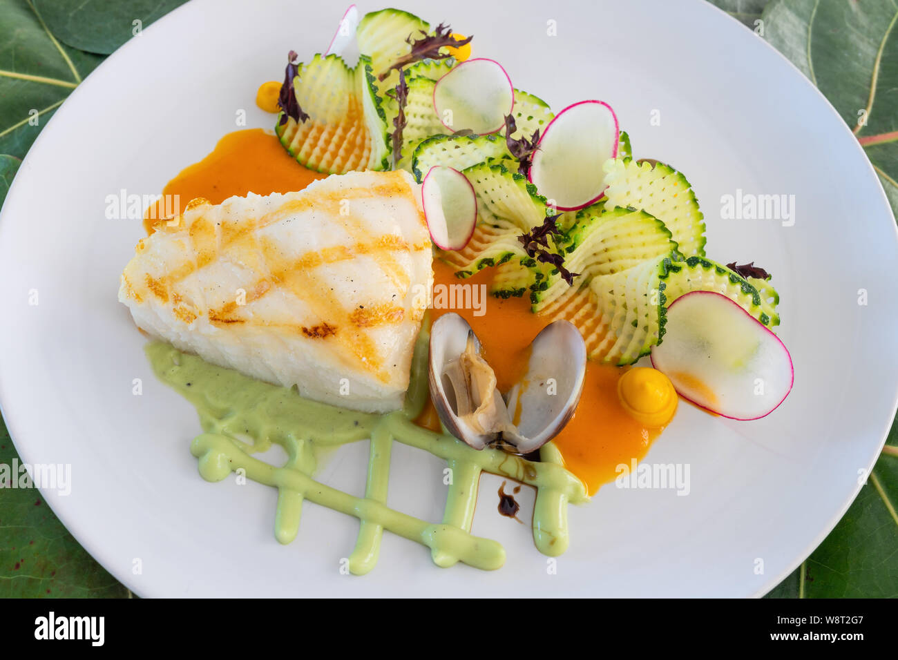 Well presented hi-res stock photography and images - Alamy