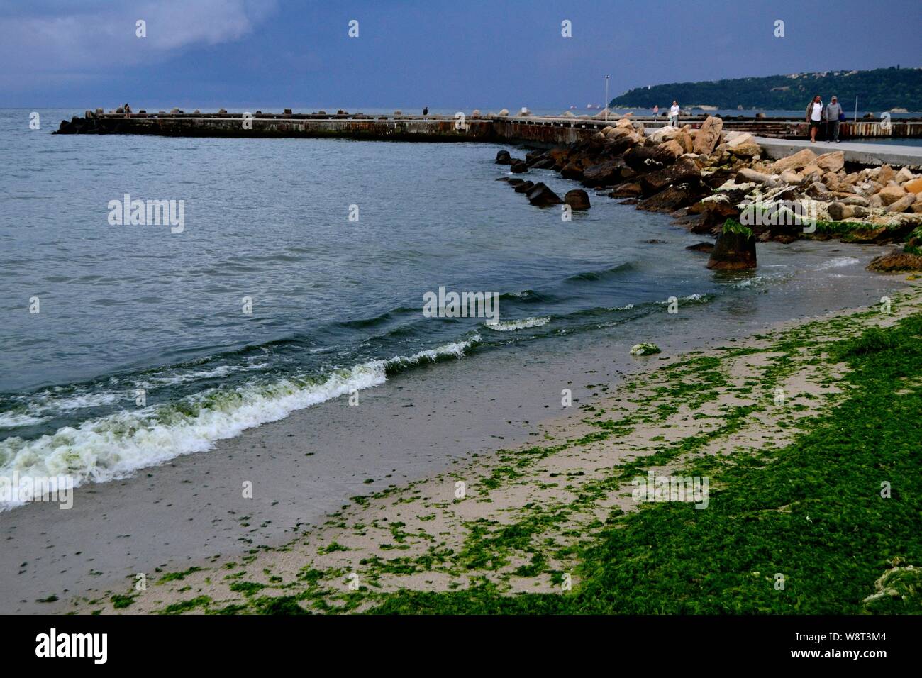 Beach- Sea garden Park in VARNA- Black Sea - BULGARIA Stock Photo - Alamy