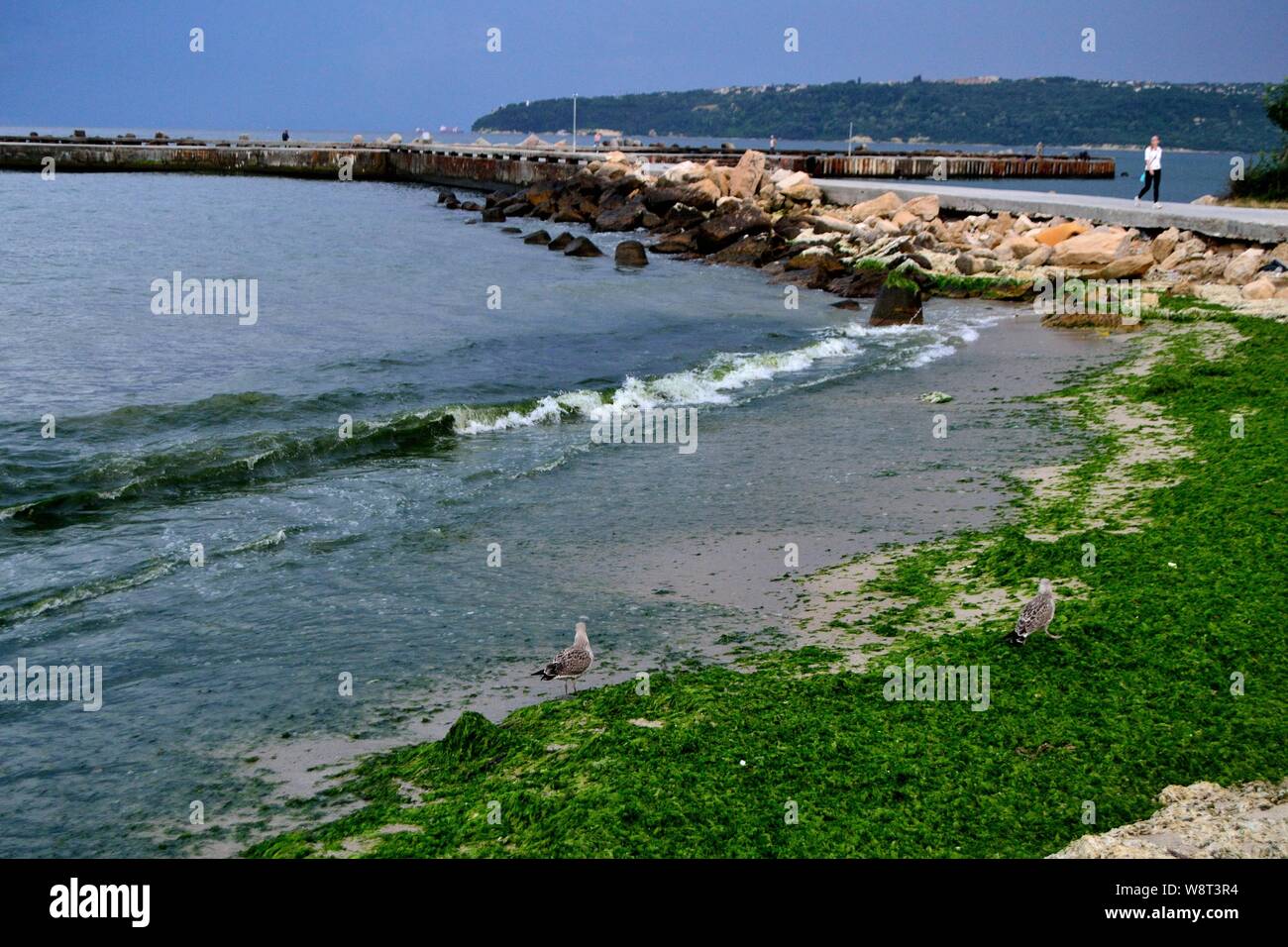Beach- Sea garden Park in VARNA- Black Sea - BULGARIA Stock Photo - Alamy
