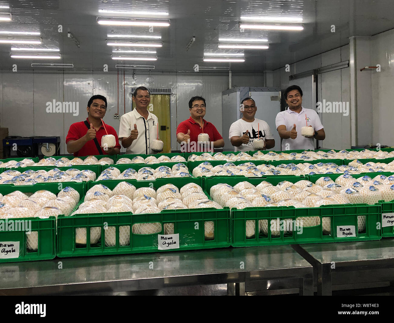 (190811) -- DAVAO, Aug. 11, 2019 (Xinhua) -- Workers pose for a photo ...