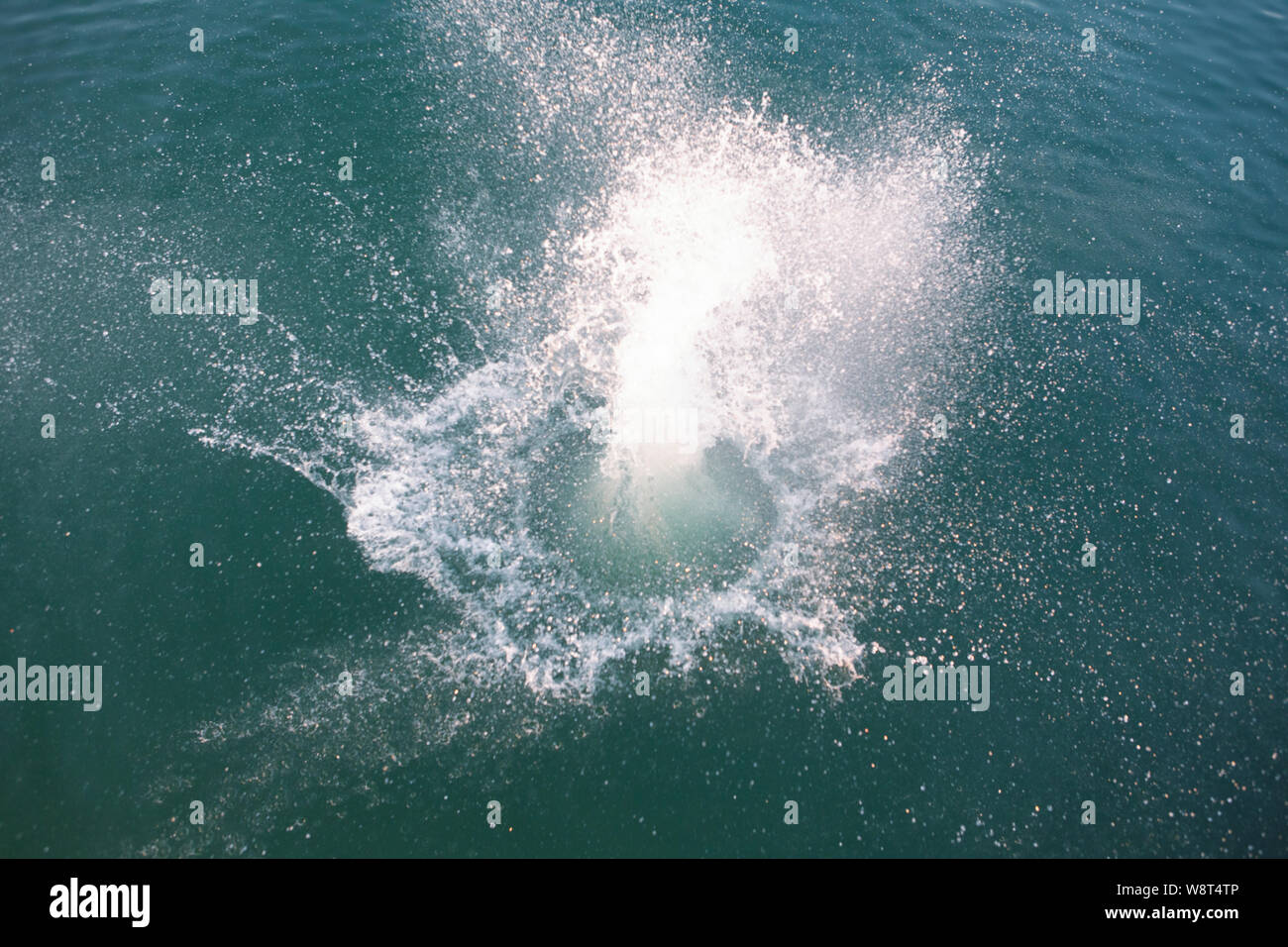 big white splash in lake water view from above Stock Photo - Alamy