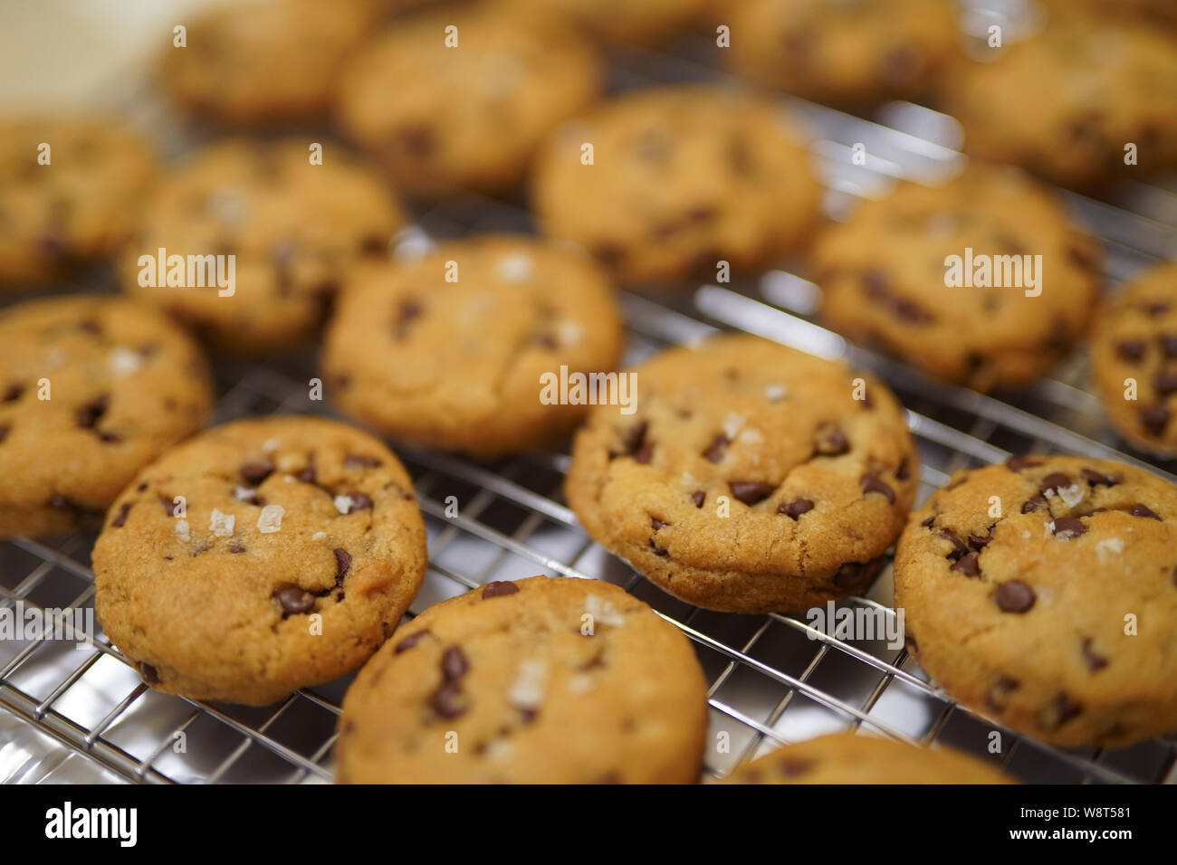 home made cholcolate chip cookies on a tray with blurry background ...