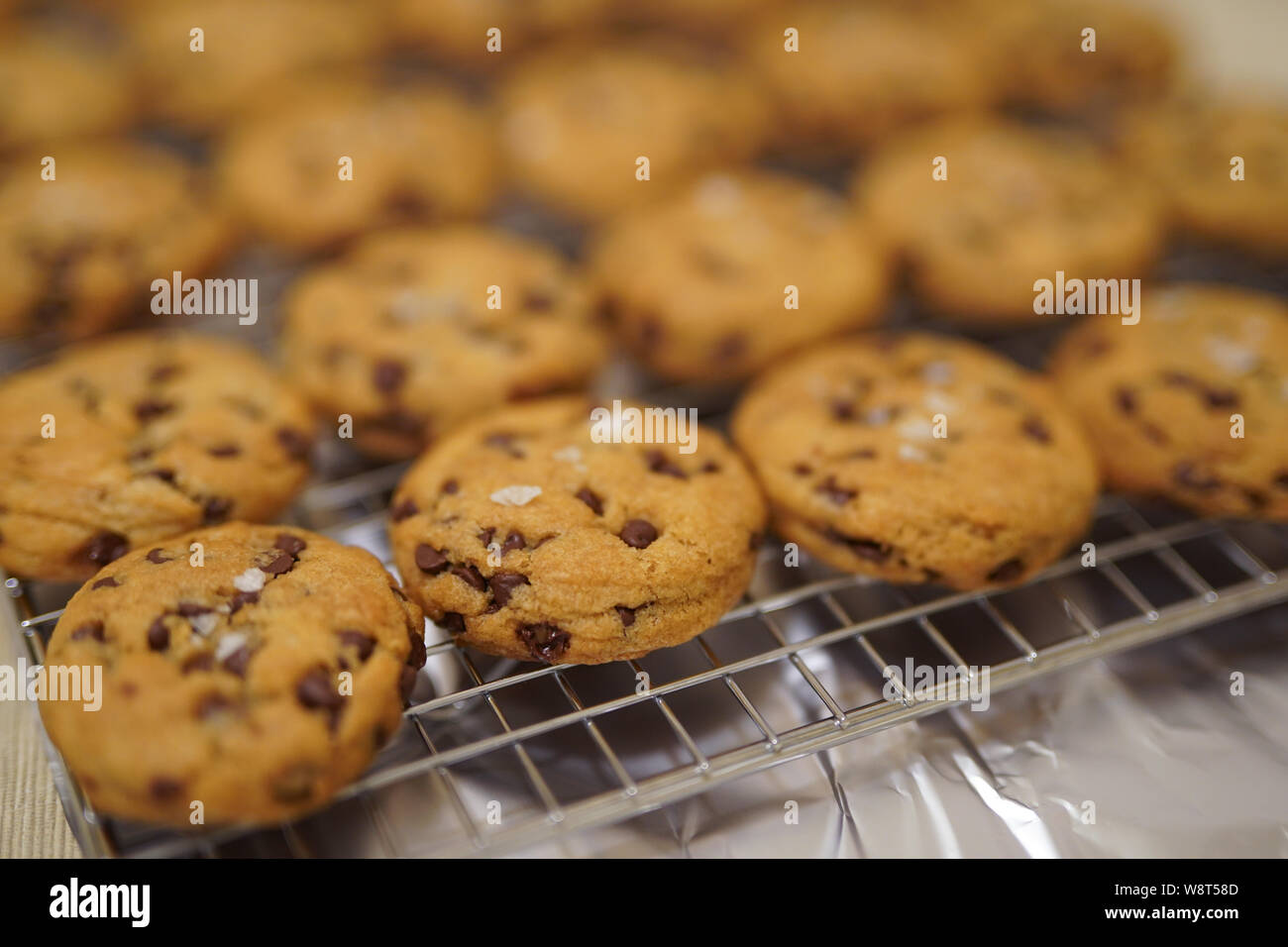 home made cholcolate chip cookies on a tray with blurry background ...