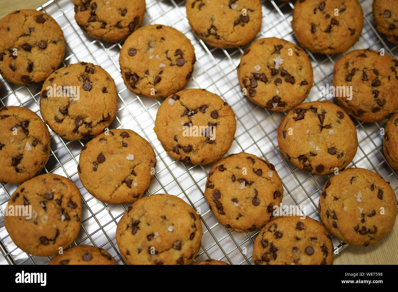 an oven tray of freshly made chocolate chip cookies Stock Photo - Alamy
