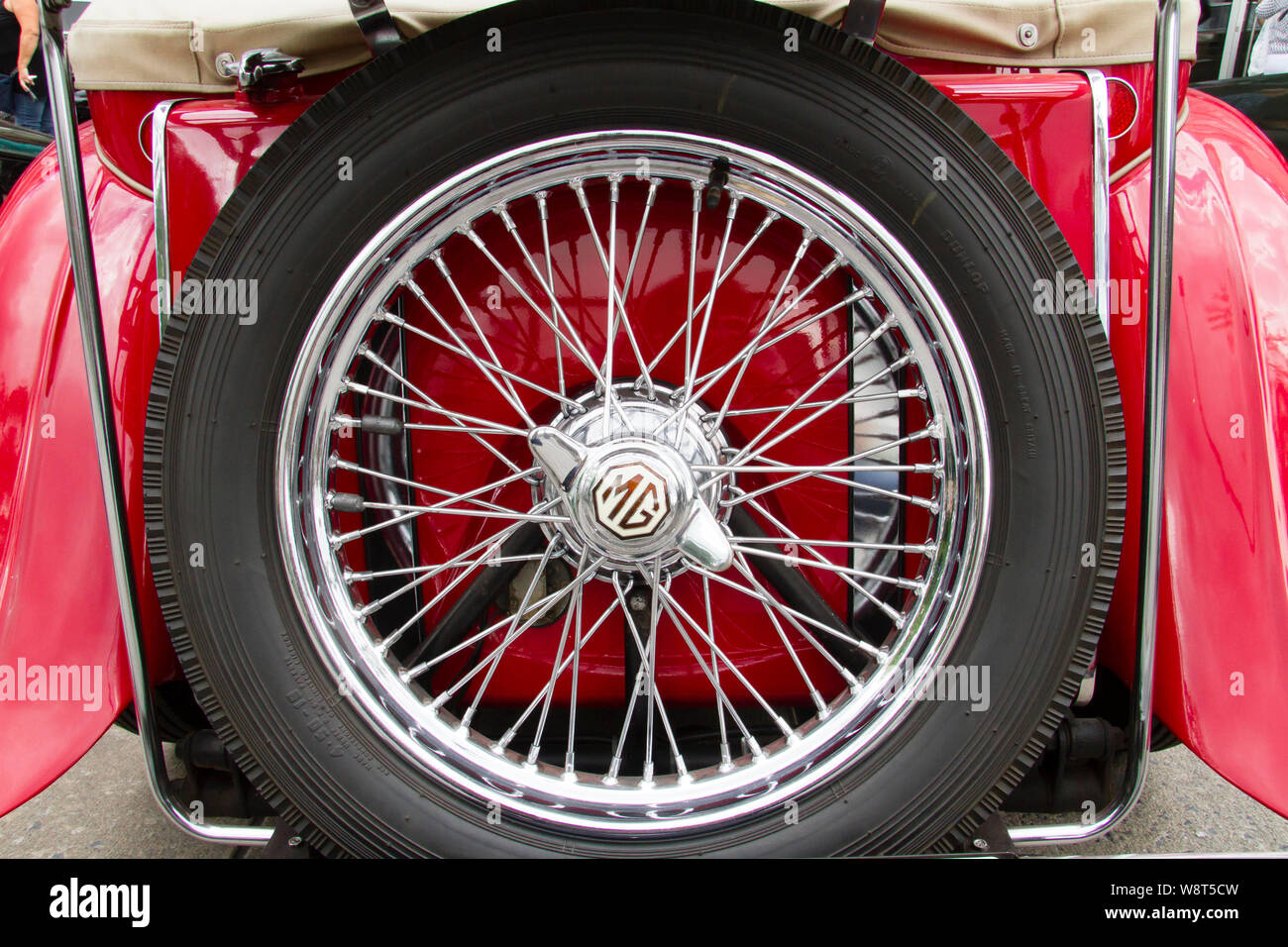 spare wheel of a MG TC from the 1940s, Germany. Ersatzrad am Heck eines ...