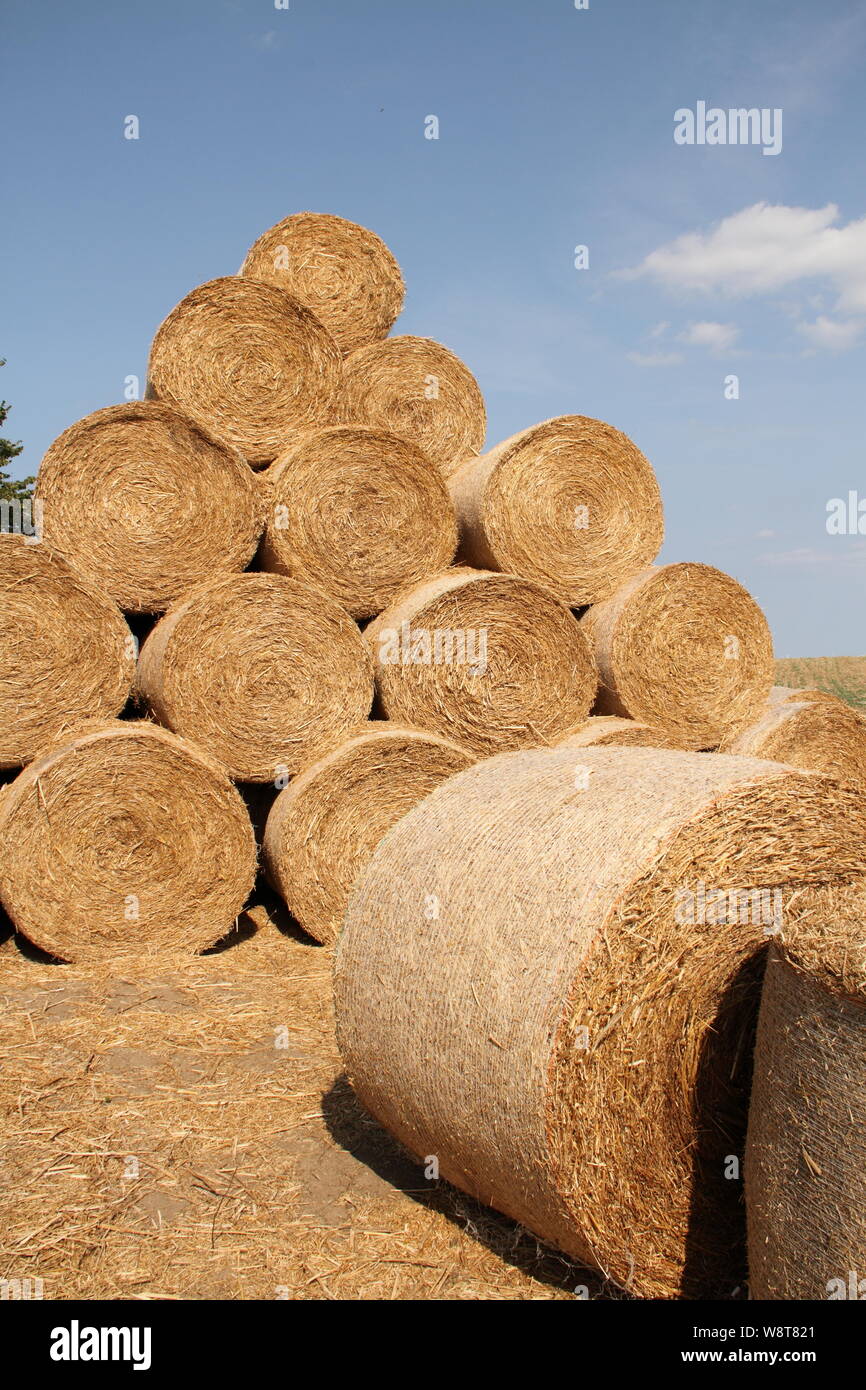 straw bales stacked on the field Stock Photo - Alamy