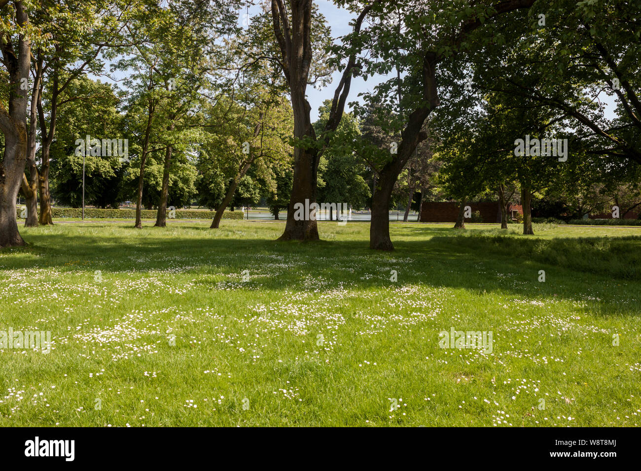 Beautiful park scene in public park with green grass field and green ...