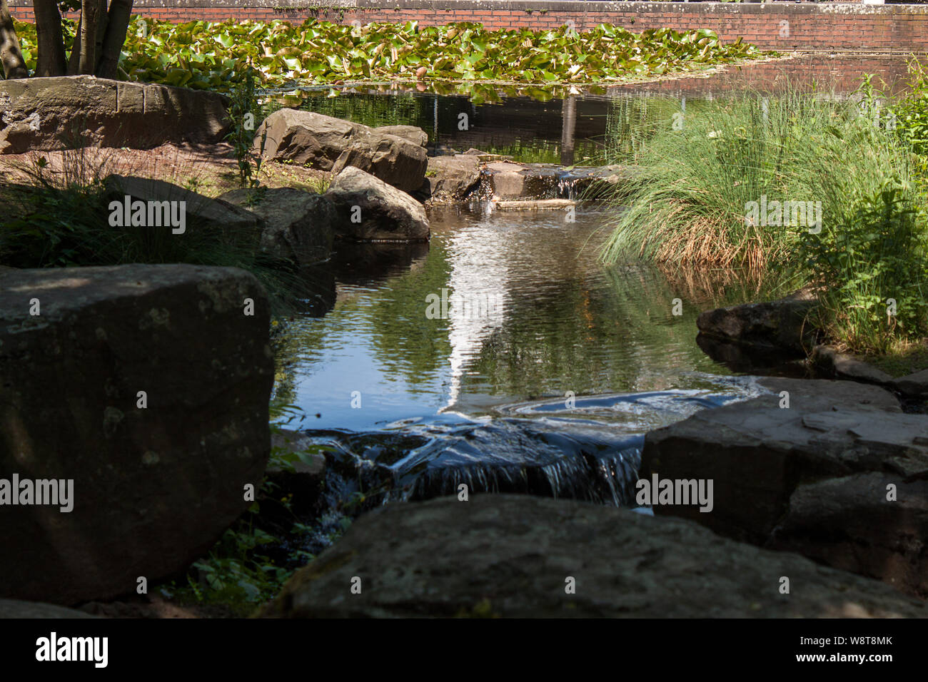 Beautiful park scene in public park with green grass field, green tree ...