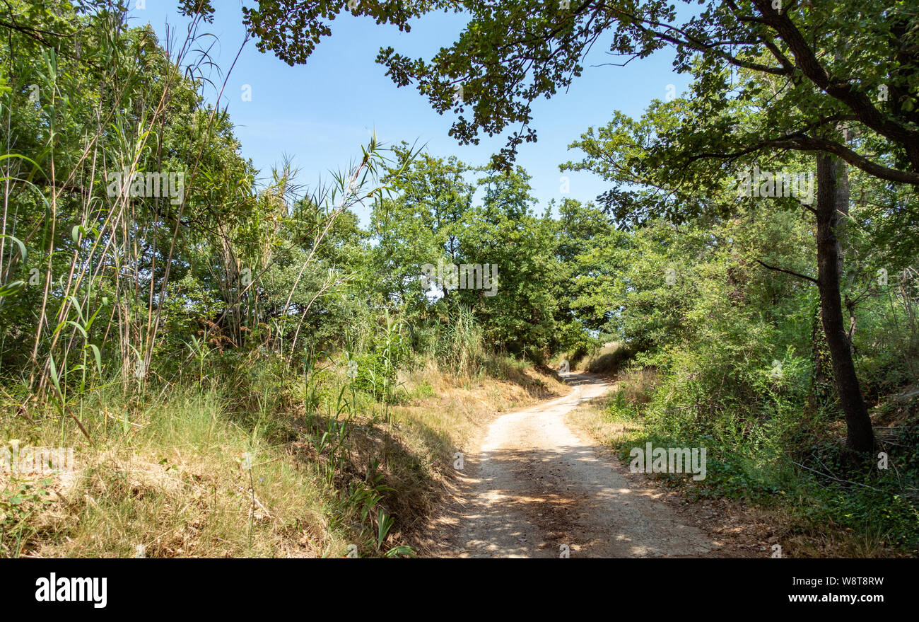 Narrow traditional country lane hi-res stock photography and images - Alamy