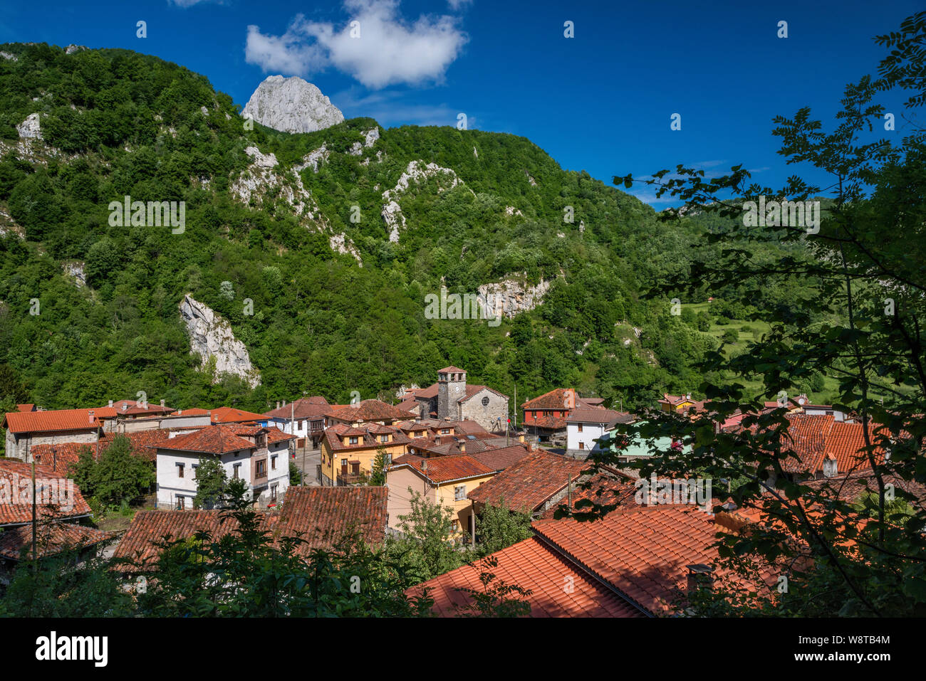 Rio ponga gorge hi-res stock photography and images - Alamy