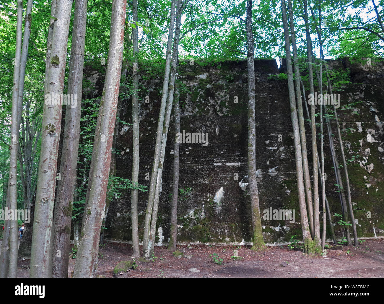 Wolfsschanze hi-res stock photography and images - Alamy