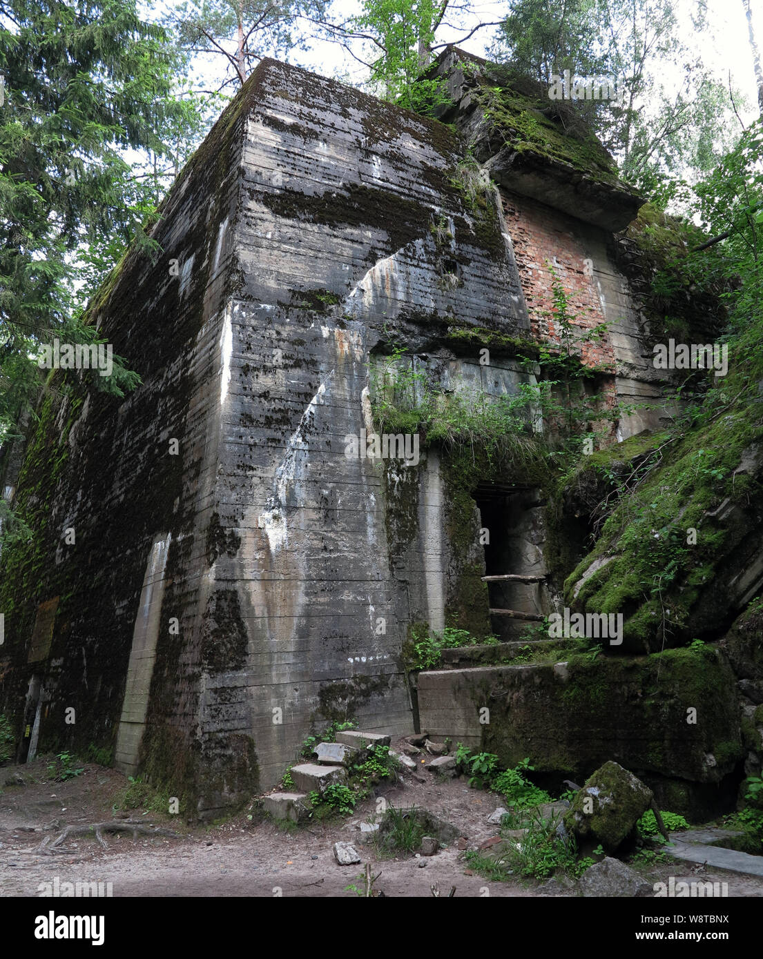 Bunker remains of the former Fuehrer headquarters "Wolfsschanze" in the ...