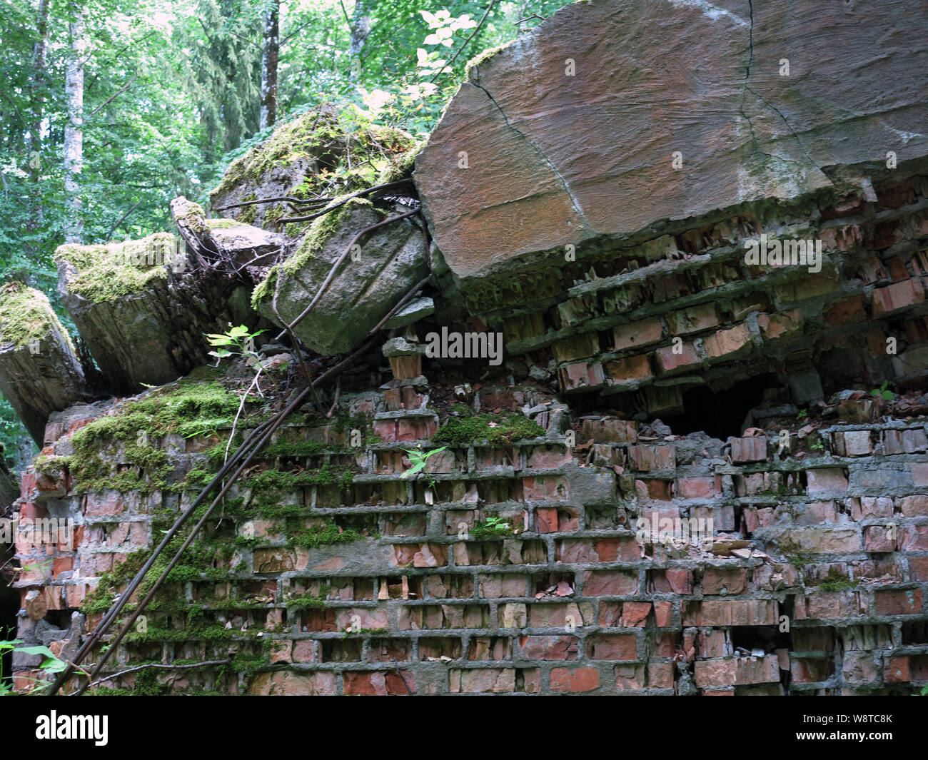 Wolfsschanze hi-res stock photography and images - Alamy
