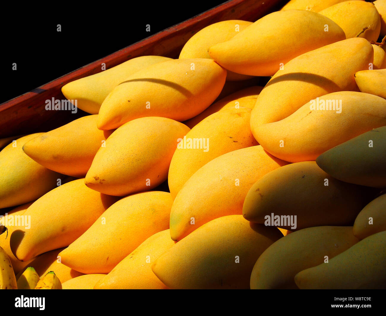 Mango mangifera indica hi-res stock photography and images - Alamy