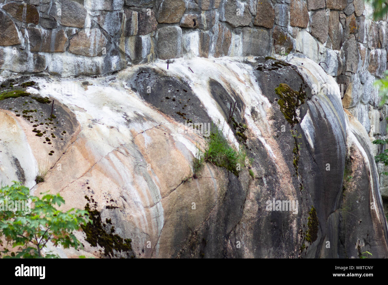 Smooth large boulder in summer forest Stock Photo - Alamy