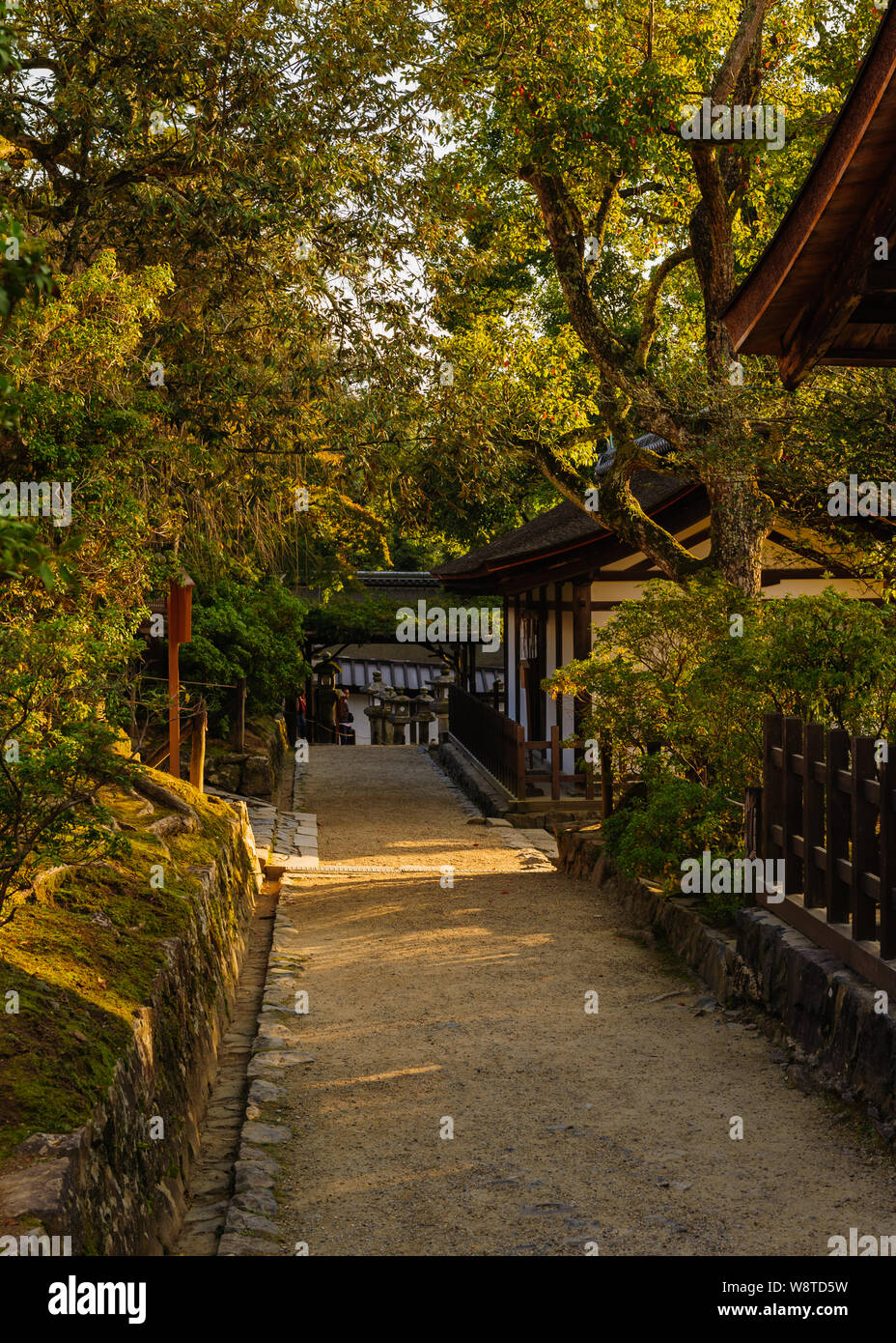 Impressions of traditional japanese shintoistic shrine architecture in ...
